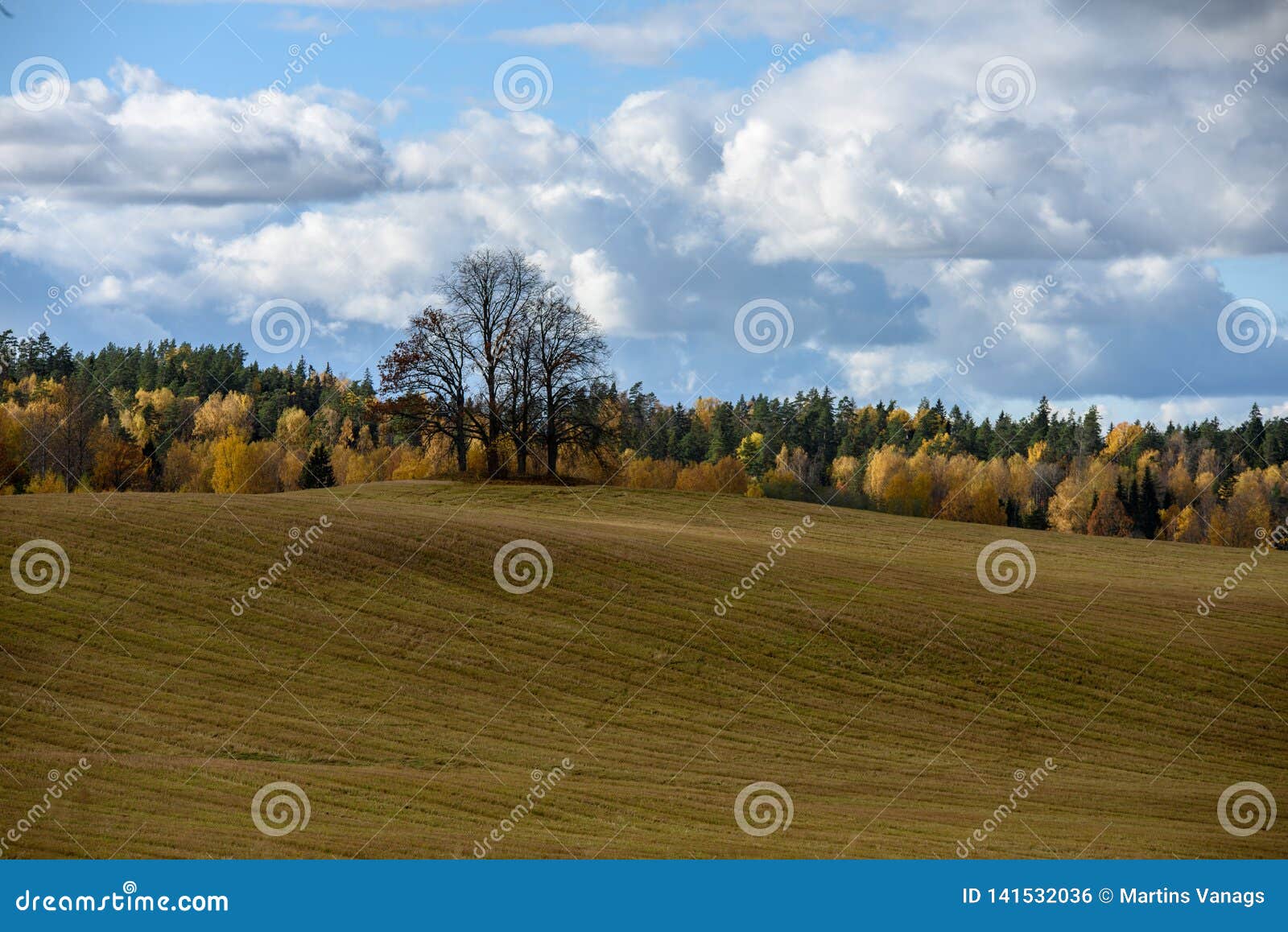 Empty Countryside Fields in Late Autumn Stock Photo - Image of empty ...