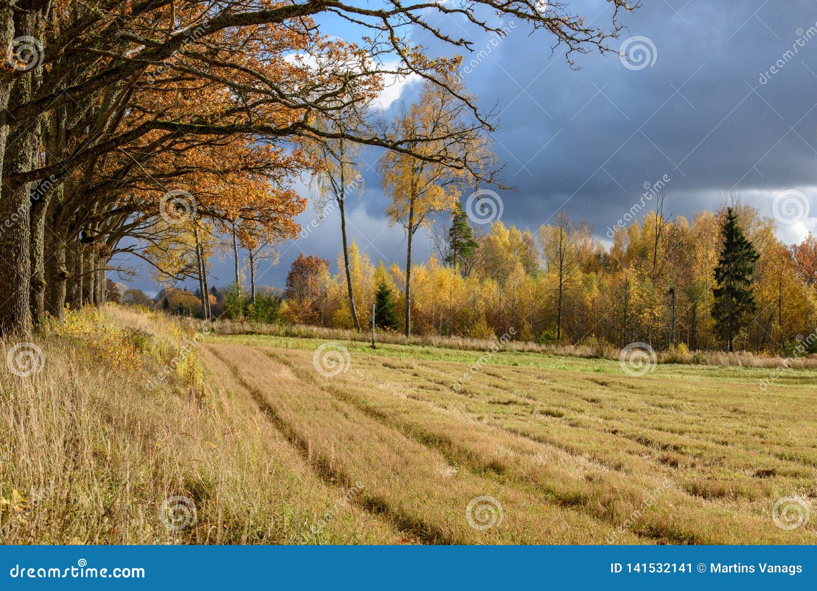 Empty Countryside Fields in Late Autumn Stock Image - Image of empty ...