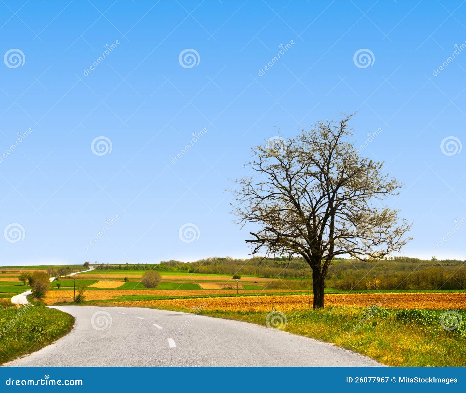 Empty countryside road stock image. Image of empty, rural - 26077967