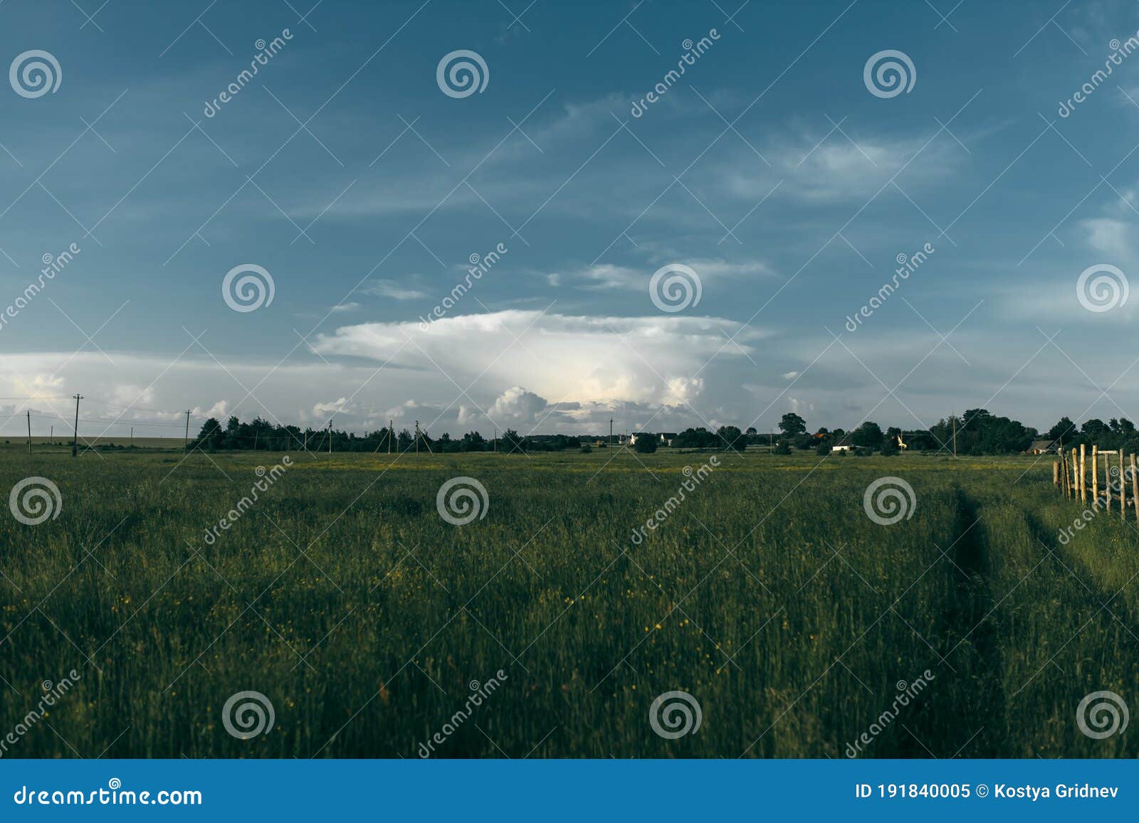 Empty Countryside Road through Fields with Wheat Stock Image - Image of ...