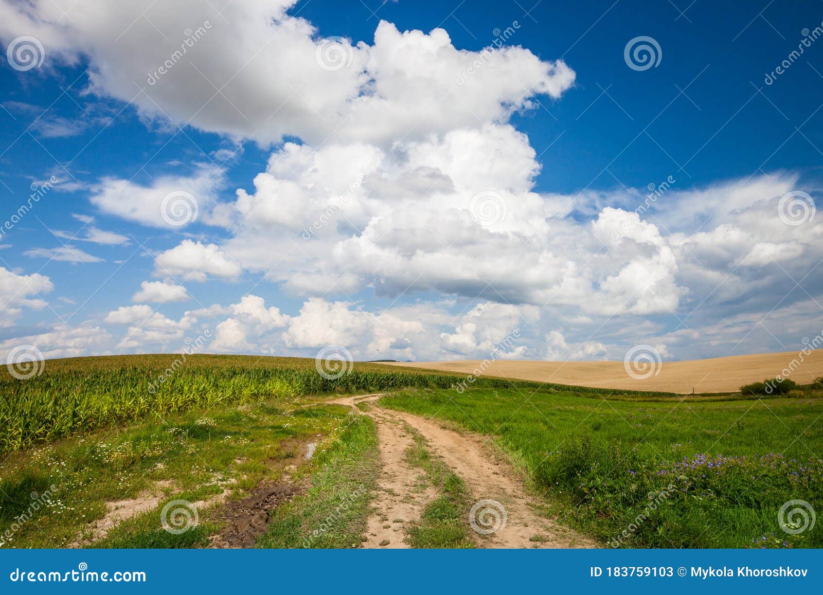 Empty Countryside Road through Fields Stock Image - Image of field ...