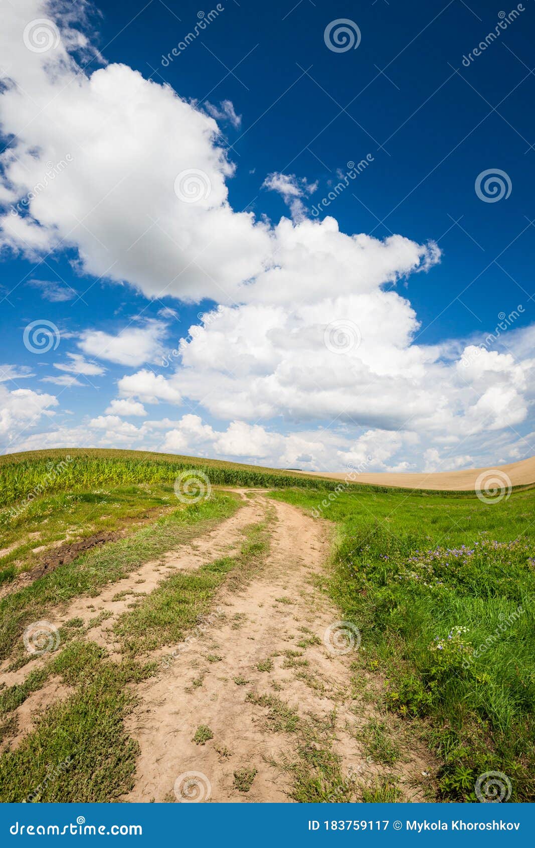 Empty Countryside Road through Fields Stock Image - Image of summer ...