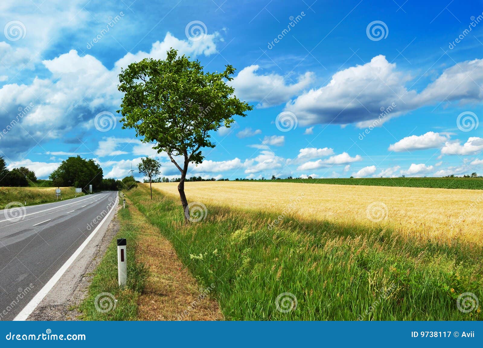 Empty Countryside Landscape In Sunny Winter Day With Snow Covering The ...