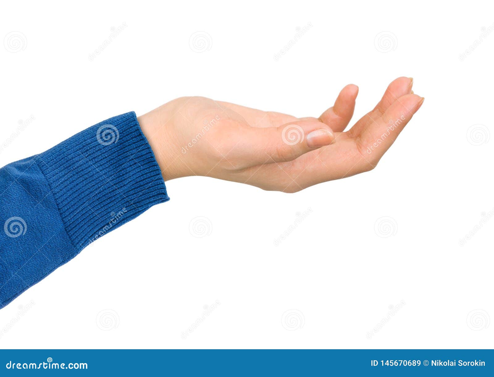 Cupped hand stock image. Image of charity, giving, adult - 145670689