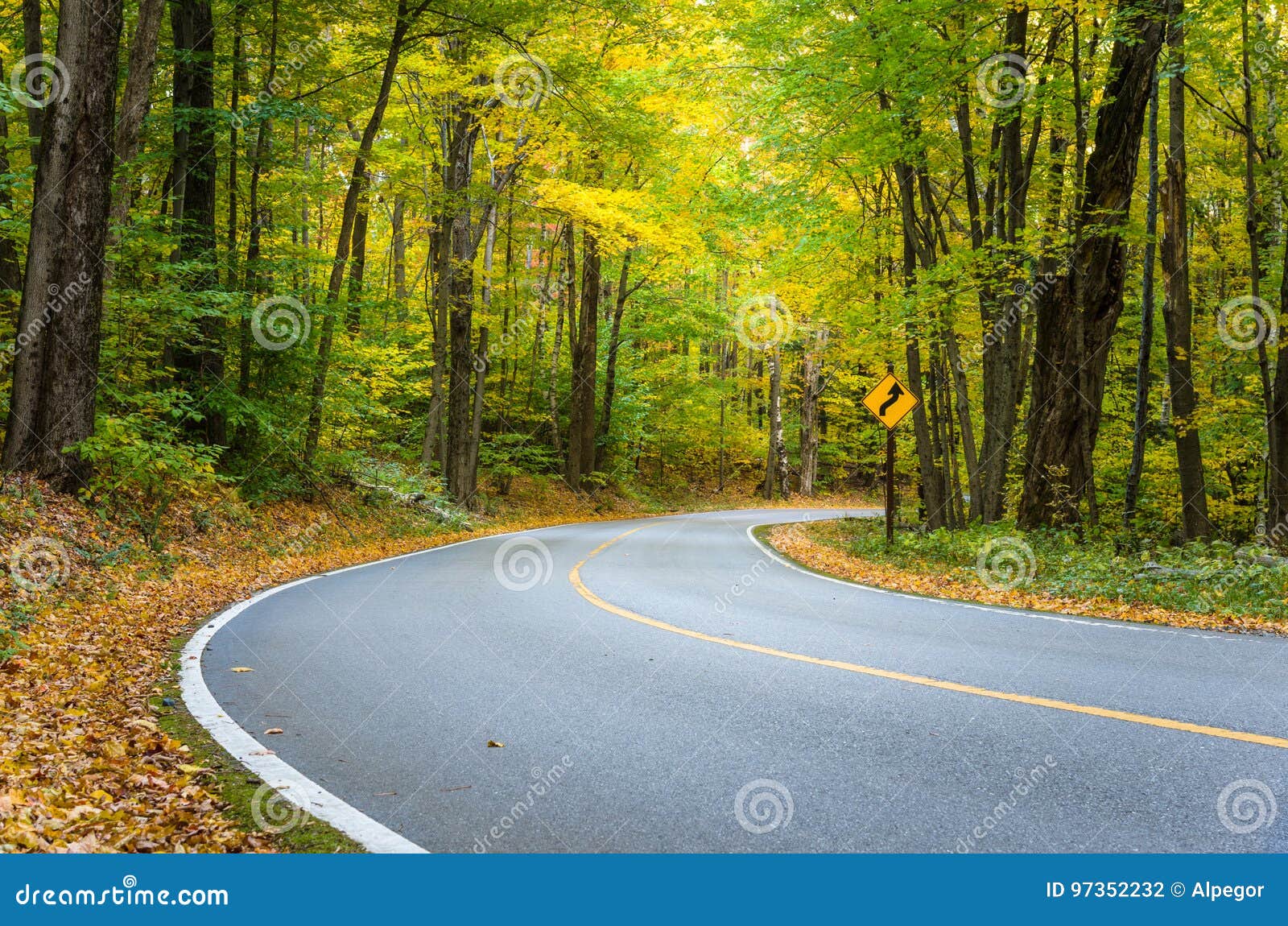Empty Curving Road through Woods Stock Photo - Image of outdoors ...
