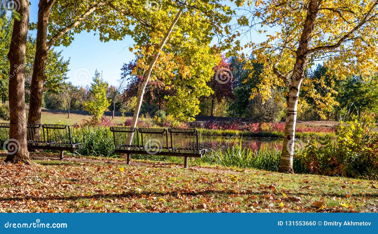 View at Empty Dark Metal Benches on a Side of a Park Pond. Stock Photo ...