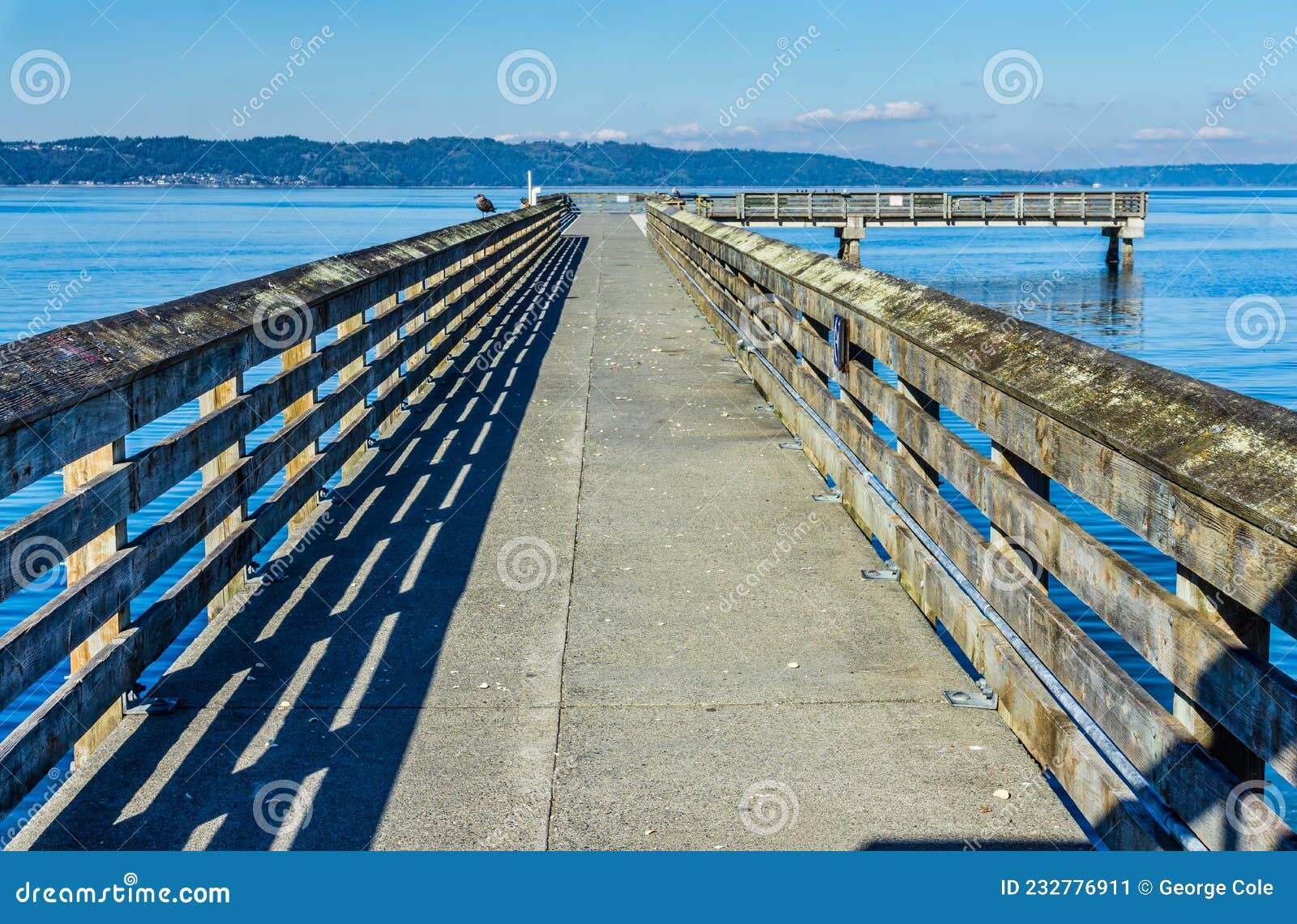 Empty Dash Point Pier 7 stock image. Image of architecture - 232776911