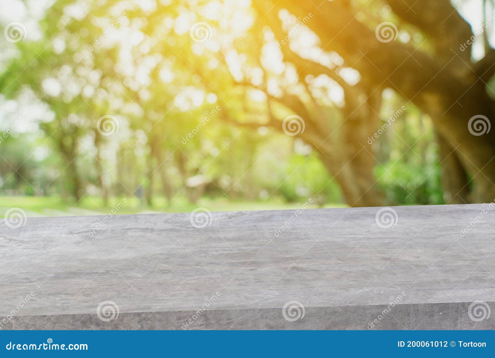 Empty Diagonal Concrete Table with Blur Tree in Garden Boekh and Mock ...