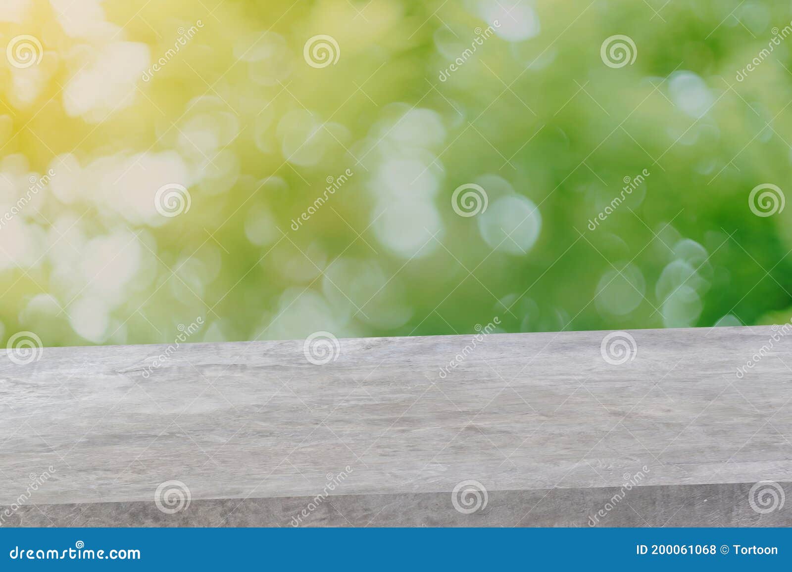 Empty Diagonal Concrete Table with Blur Tree in Garden Boekh and Mock ...