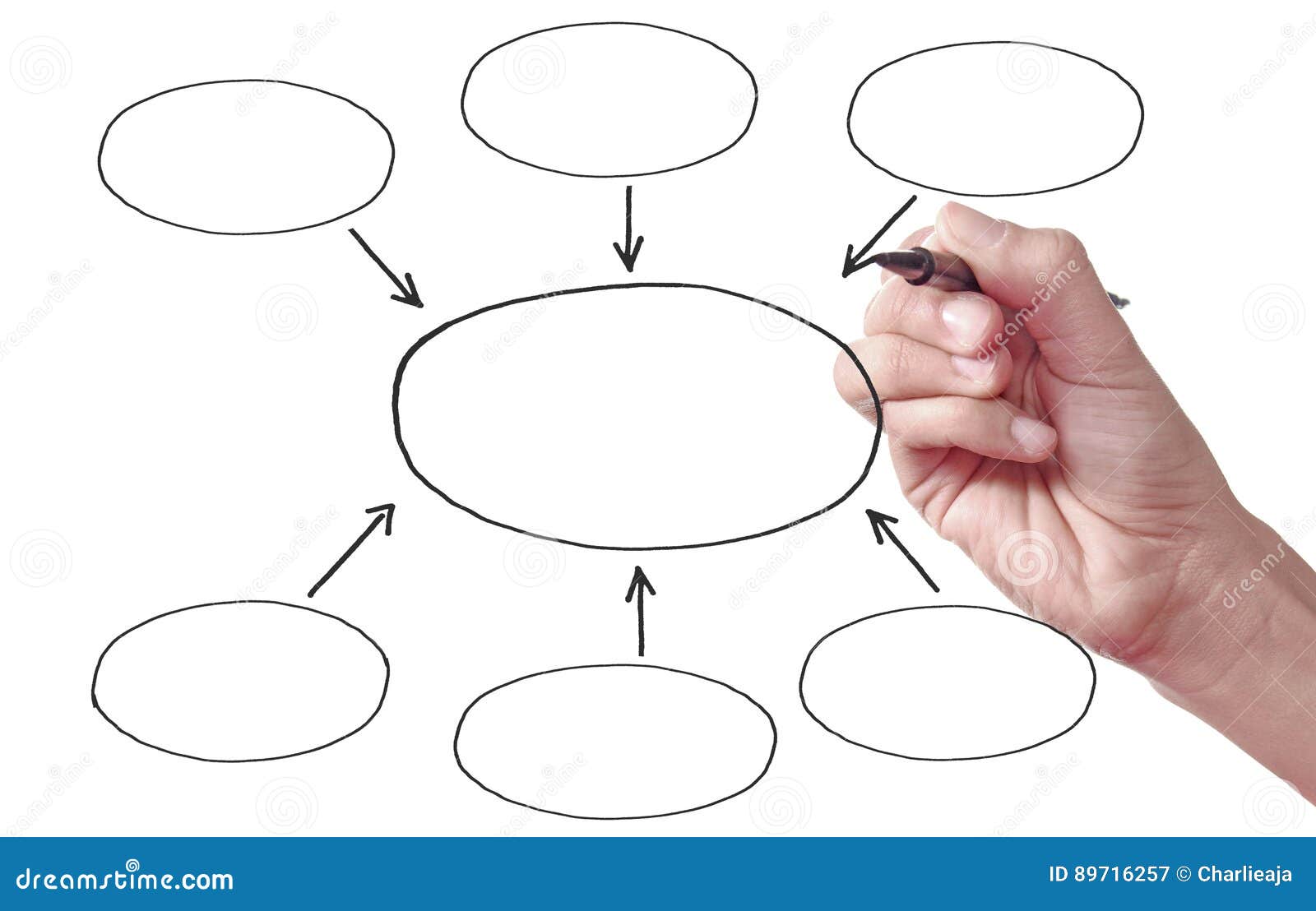 Empty diagram stock image. Image of blank, word, holding - 89716257