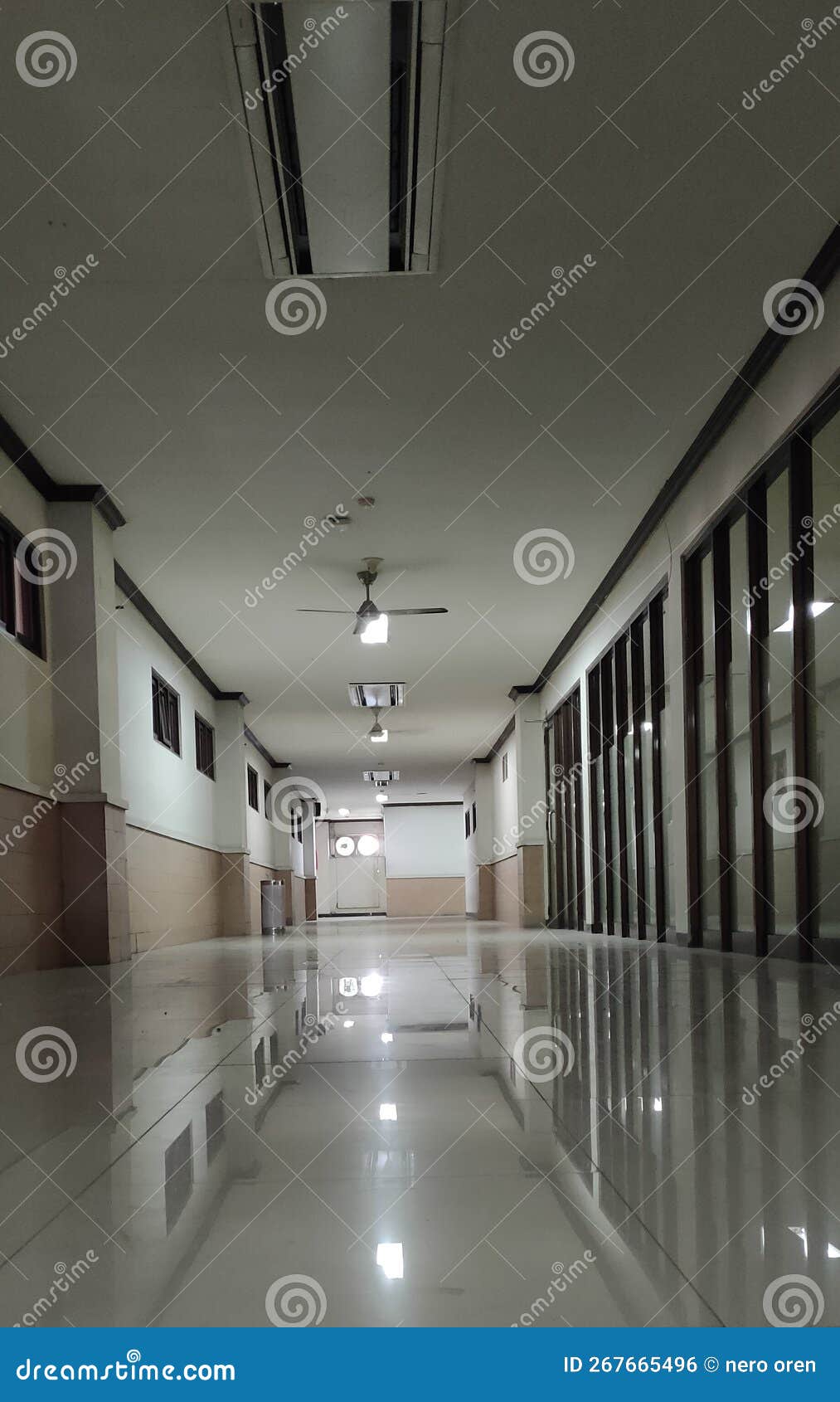 Empty and Dimly Lit Hallway Stock Photo - Image of home, lobby: 267665496