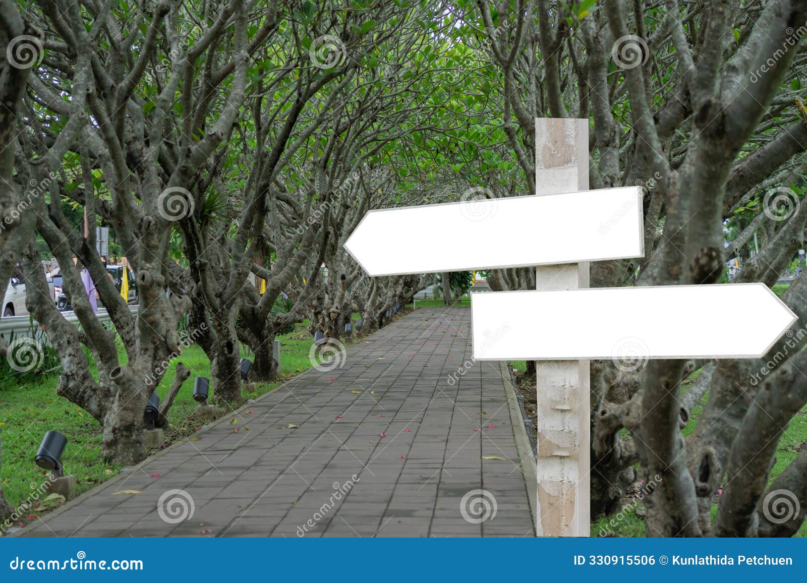 Empty Directional Arrows Information Panel Path Trail Marker Display ...