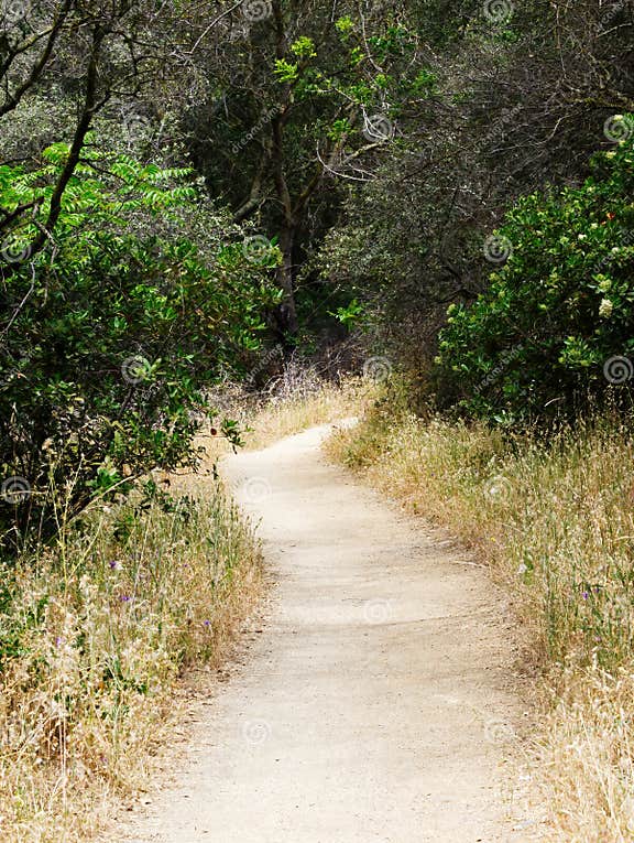 Empty Dirt Footpath with Grass and Trees Stock Photo - Image of ...