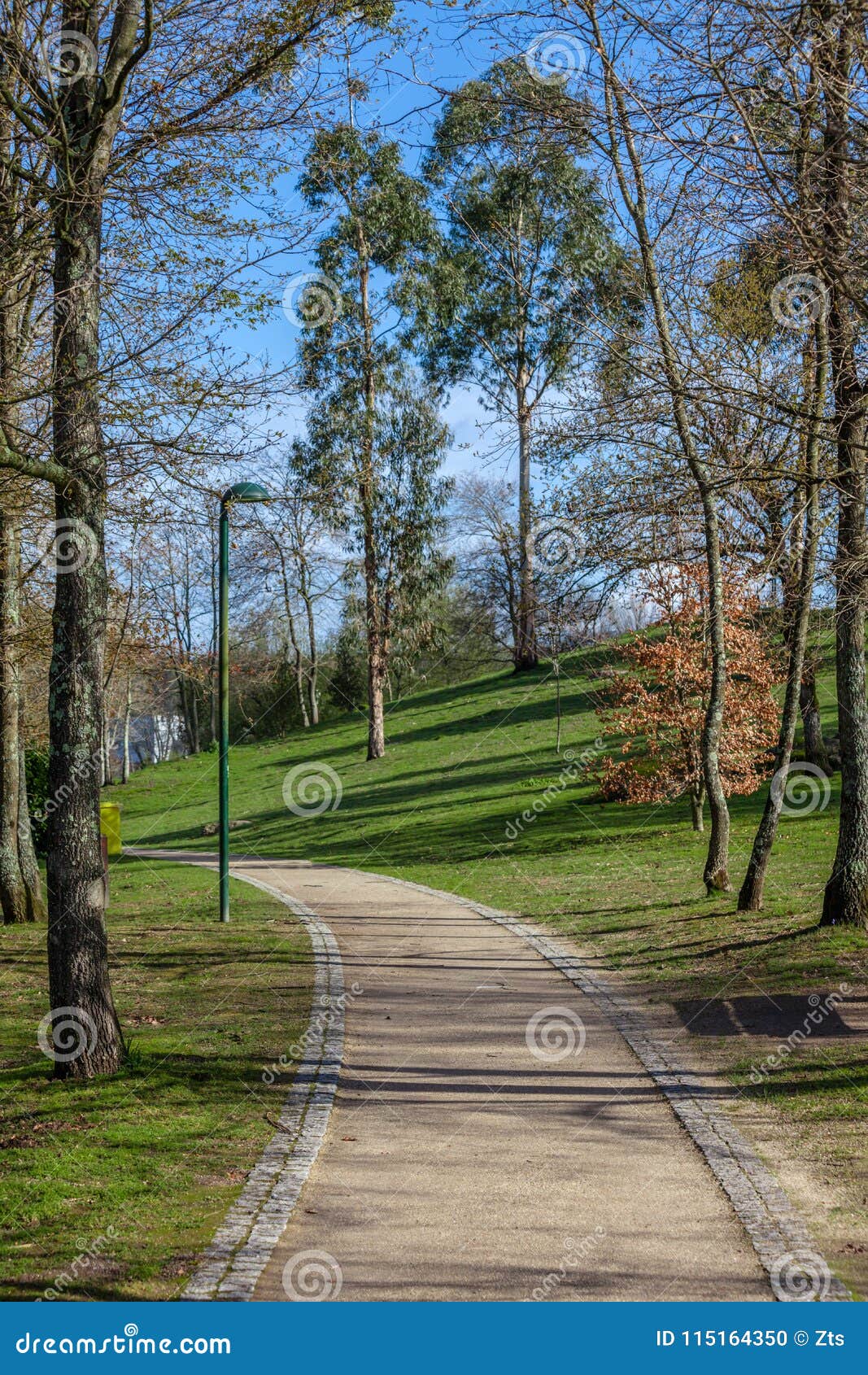 Empty Dirt Path, Track, Trail or Pathway through the Trees and Green ...