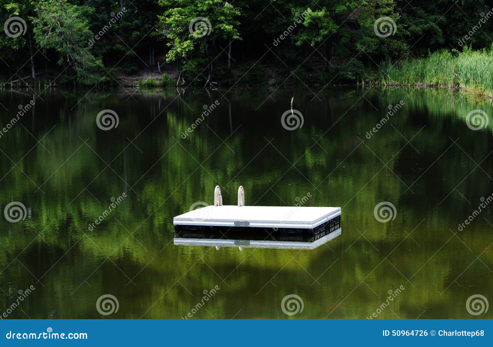 Empty Dock on an Empty Pond Stock Photo - Image of : 50964726