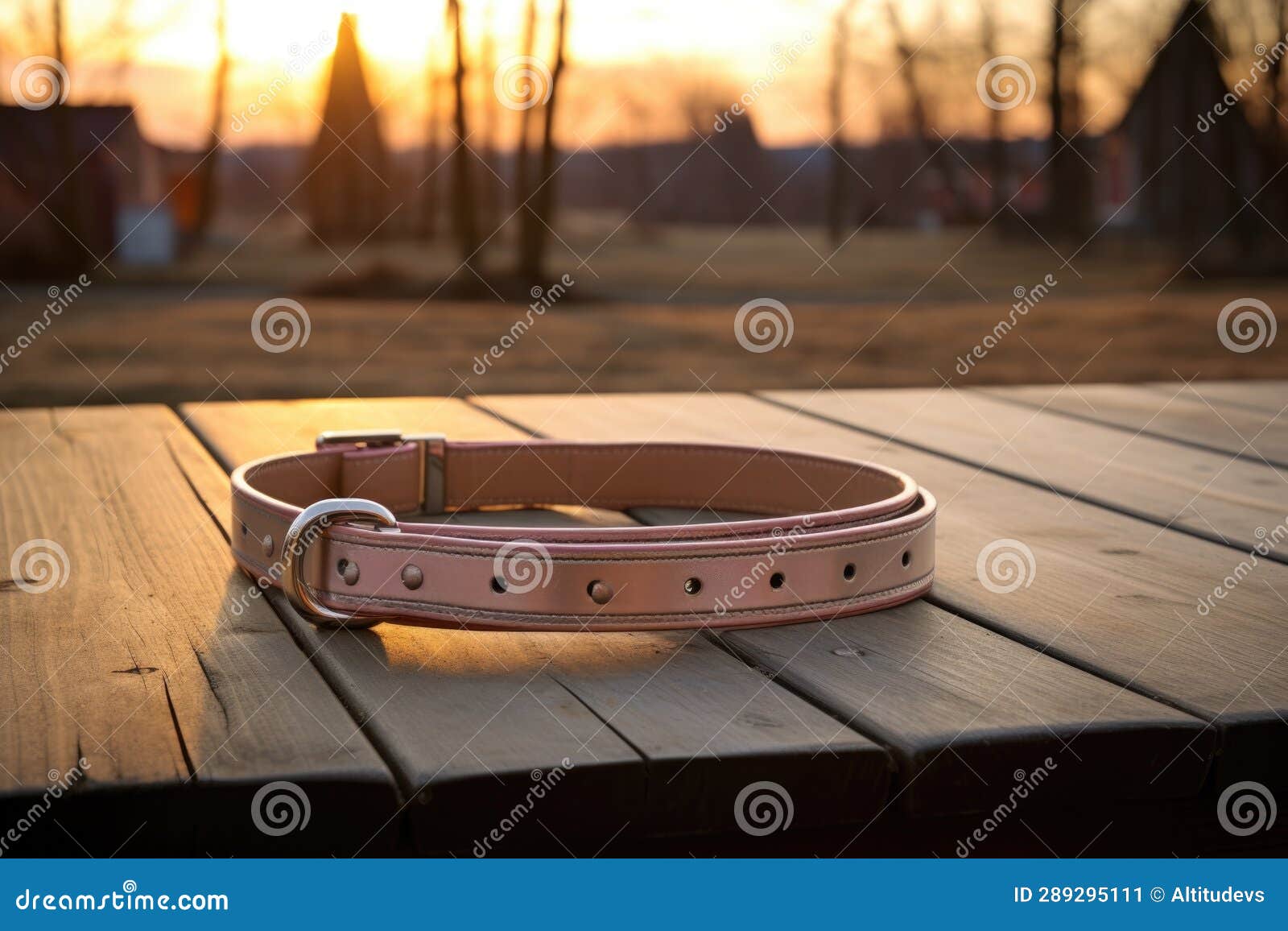 Empty Dog Collar on a Wooden Park Table Stock Image - Image of canine ...