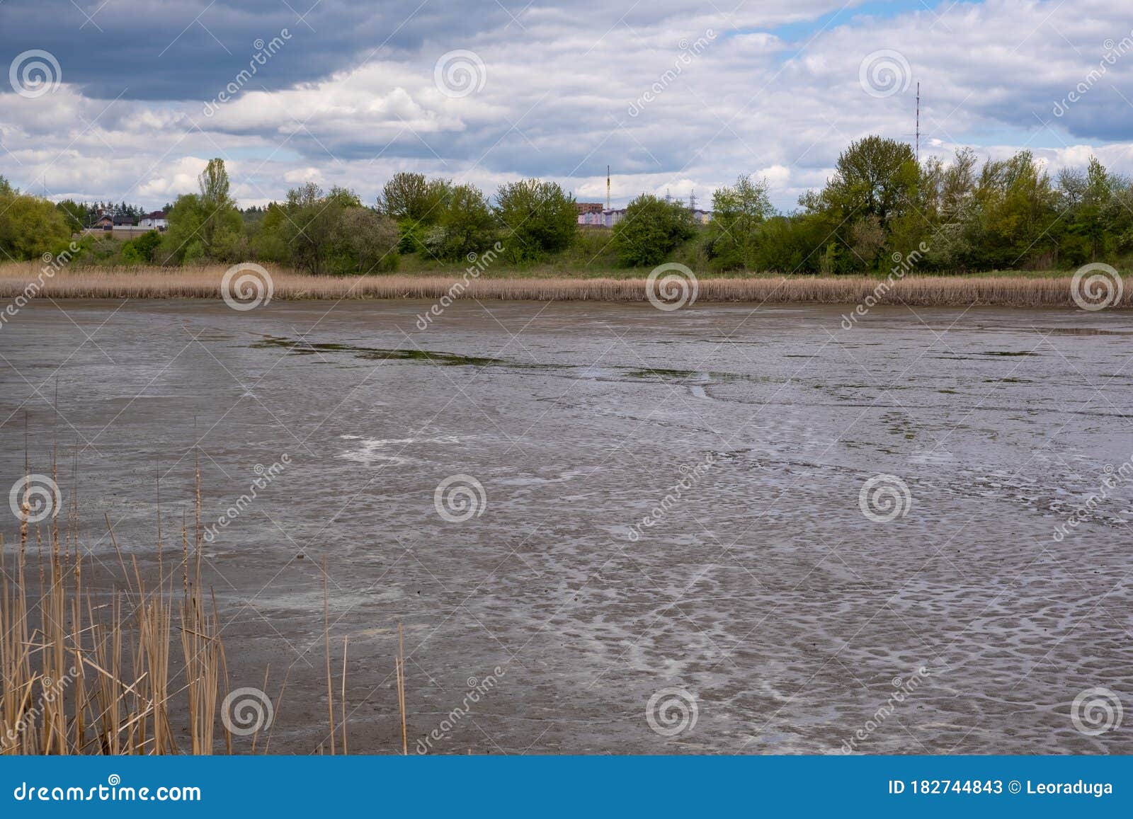 Empty and drained pond. stock image. Image of dirt, environment - 182744843
