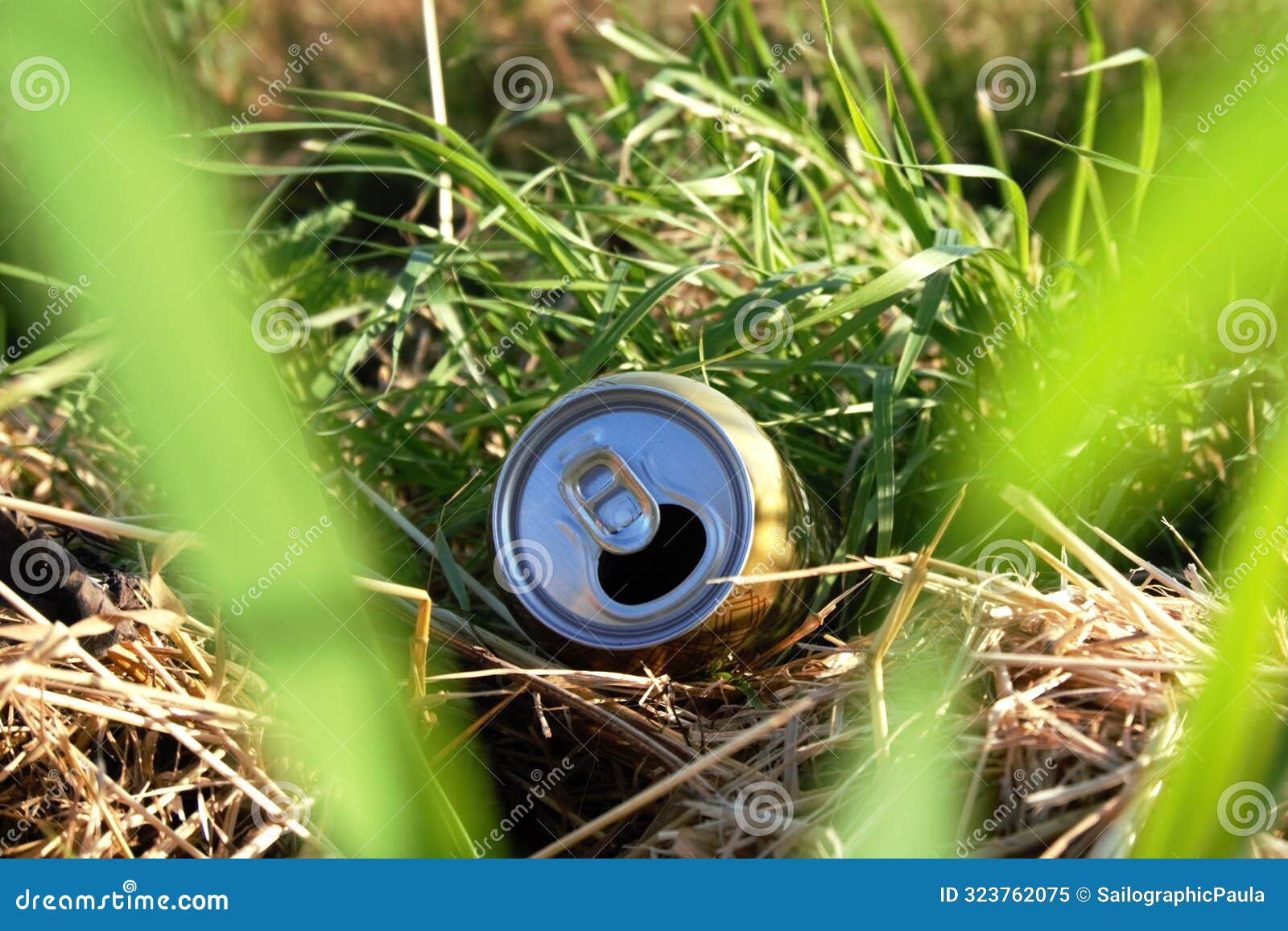 An Empty Drinking Paper Cup Lies After The Using In The Bush Beside The ...