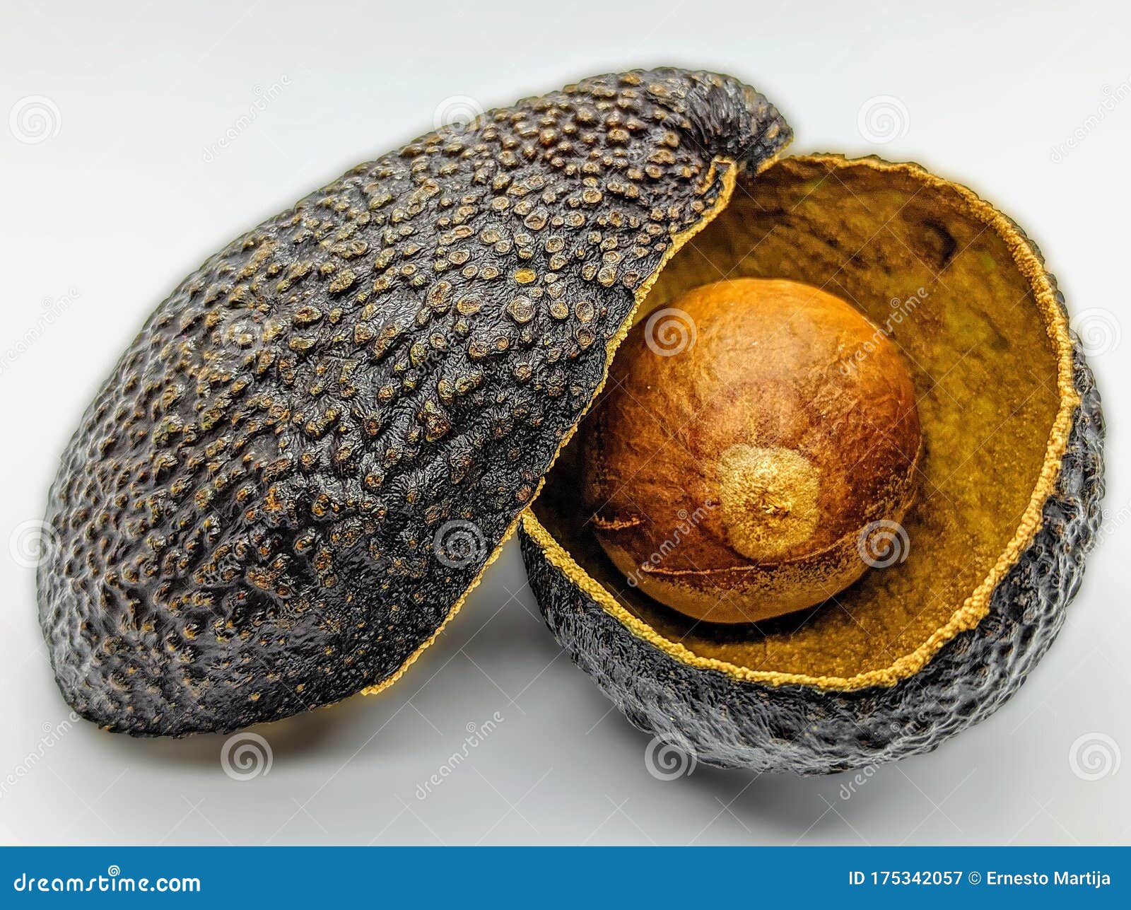 Empty and Dry Avocado with the Bone Inside Stock Image - Image of ...