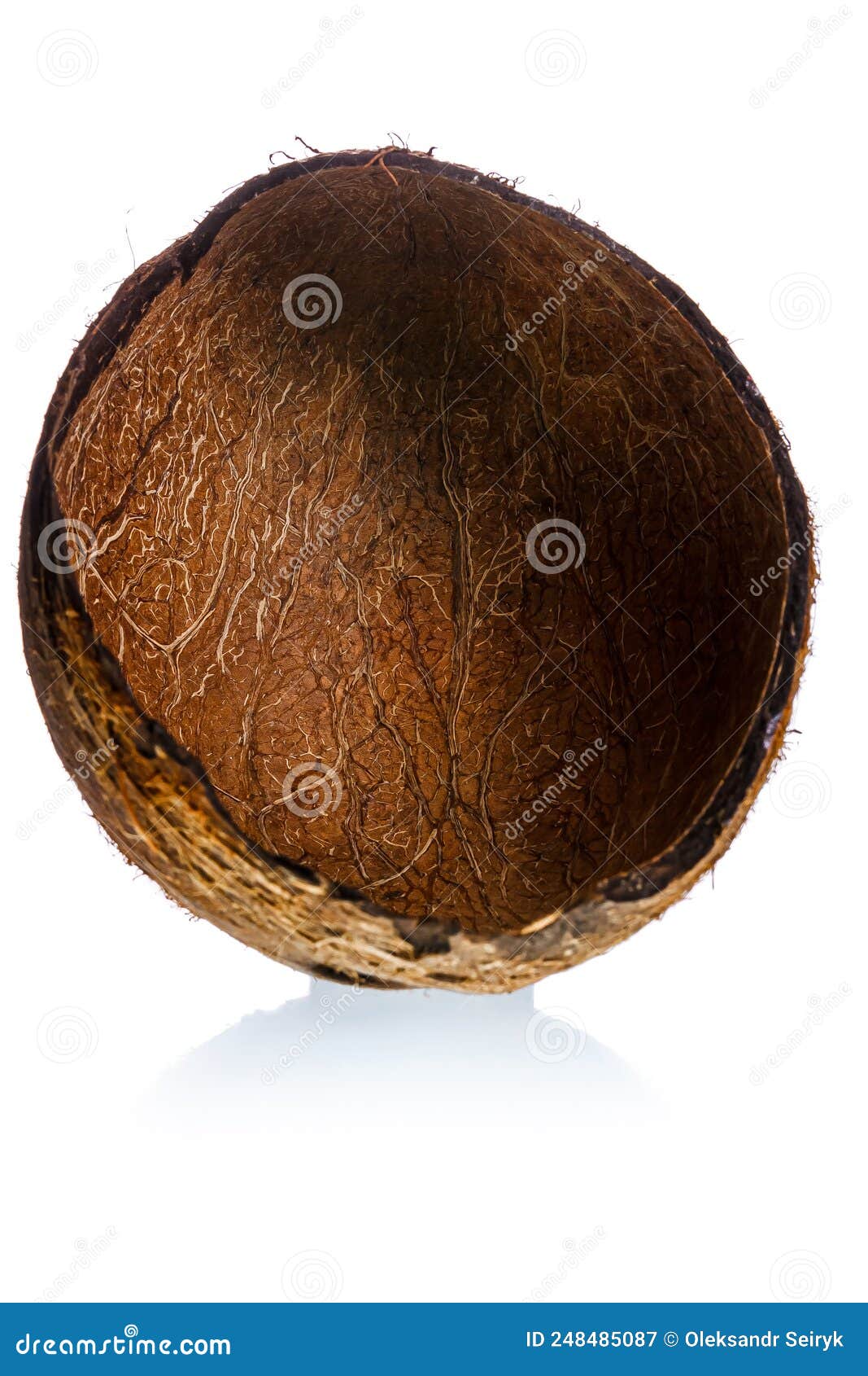Empty Dry Coconut Shell Isolated on White Background Stock Image ...