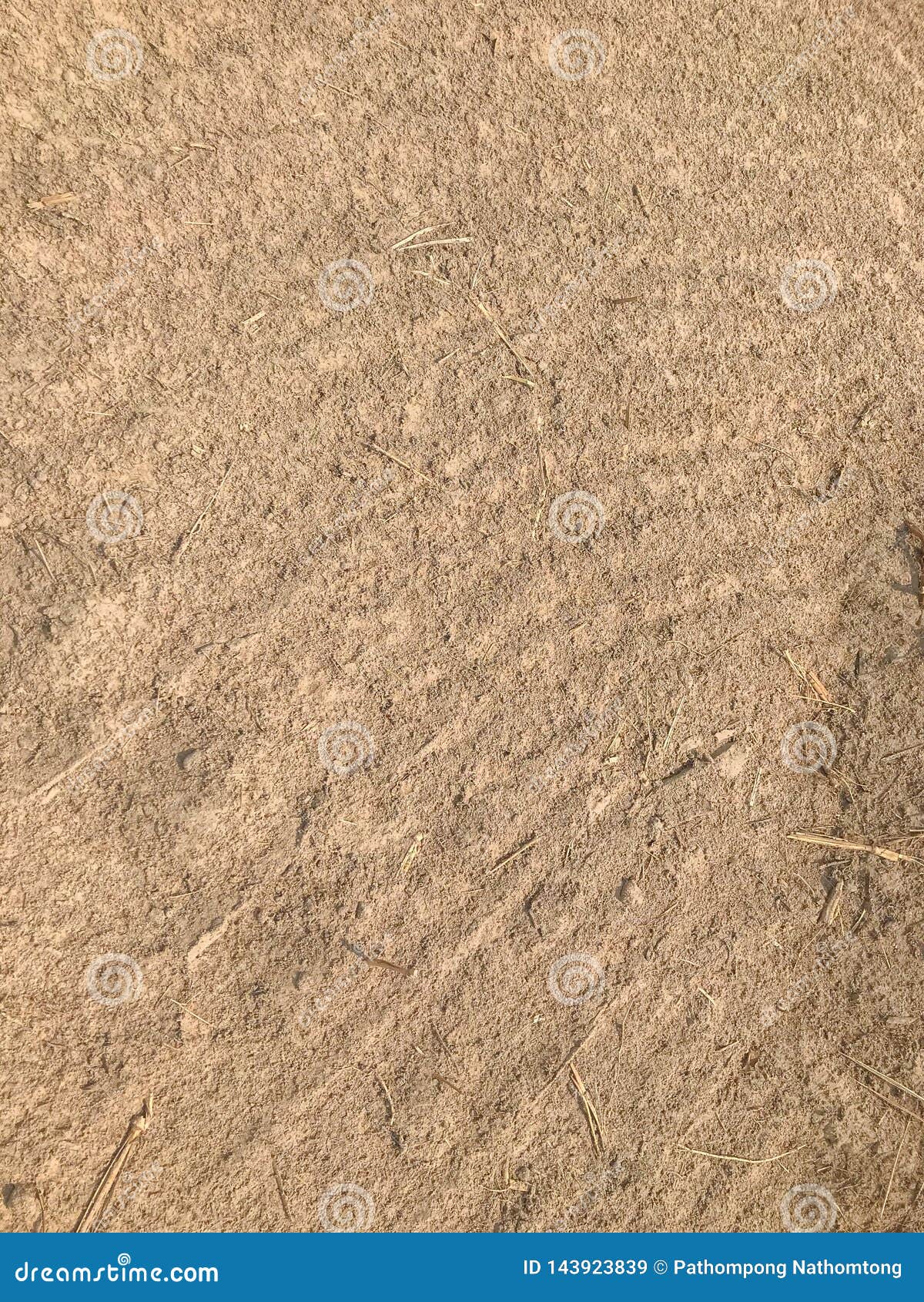 Empty Dry Crack Soil Background Stock Image - Image of dust, geology ...