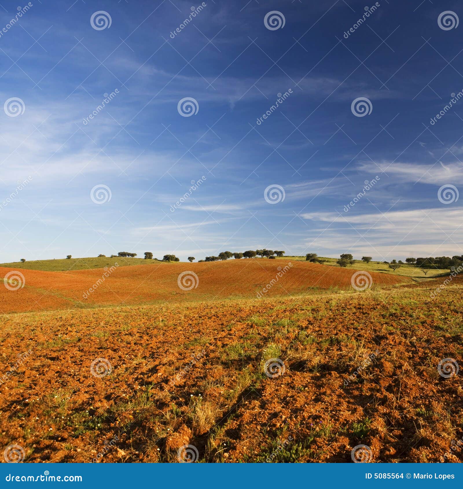 Empty and Dry Rural Landscape Stock Photo - Image of grass, golden: 5085564
