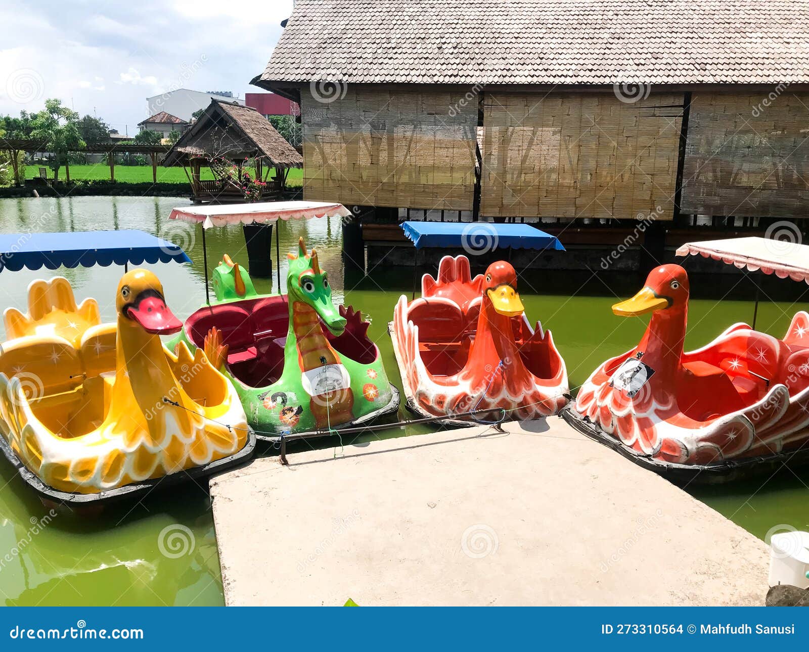 An Empty Duck-shaped Water Bike Stock Photo - Image of colorful, nature: 273310564