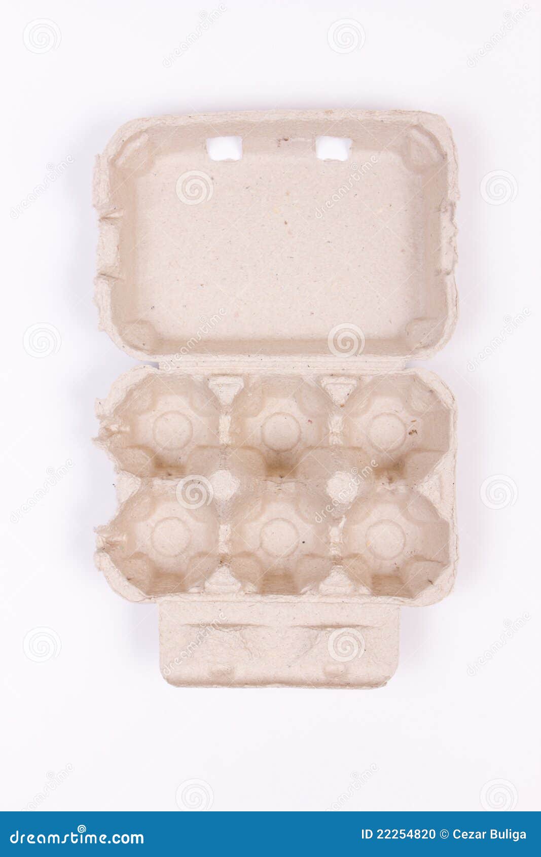 Empty egg carton stock photo. Image of dinner, farm, cuisine - 22254820