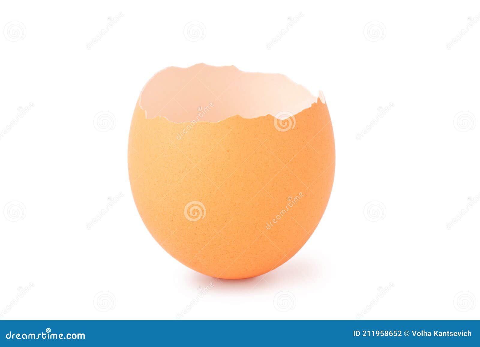 Empty Egg Shell Isolated on White Background Stock Photo - Image of ...