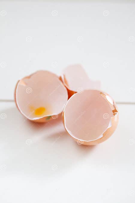 Empty egg shells stock image. Image of chickenegg, food - 16856909