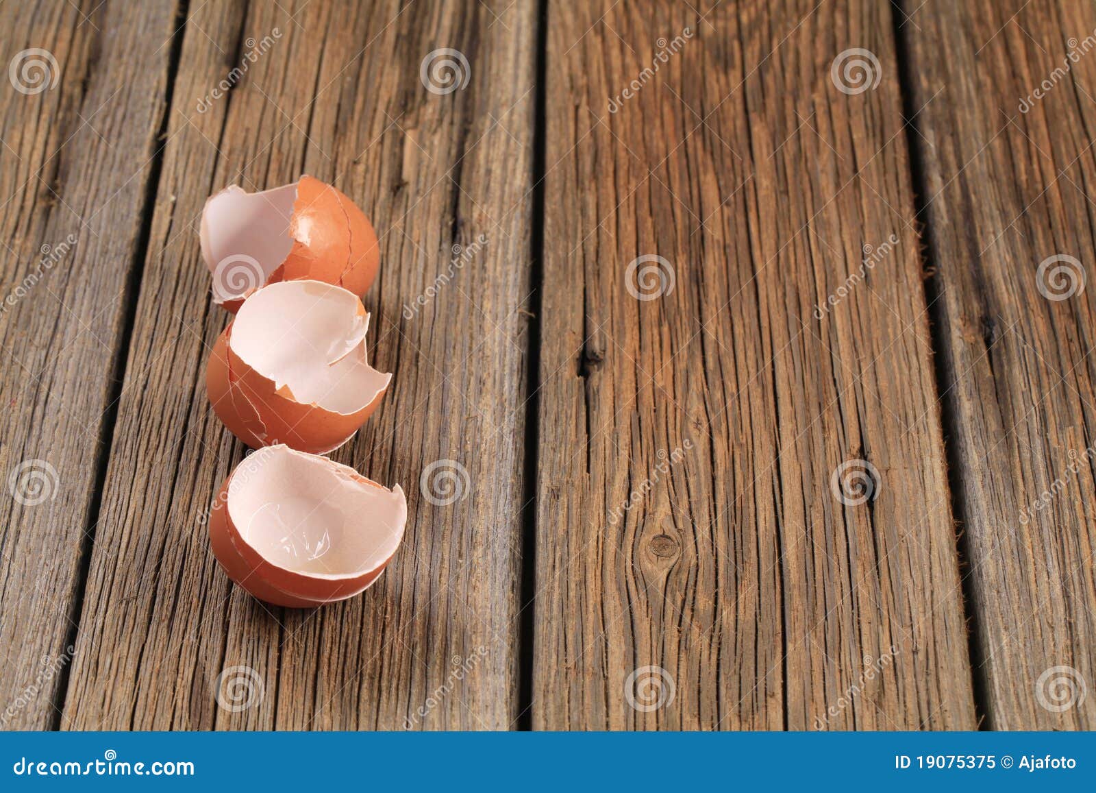 Empty egg shells stock image. Image of born, hatched - 19075375 Empty egg shells stock image. Image of born, hatched - 19075375