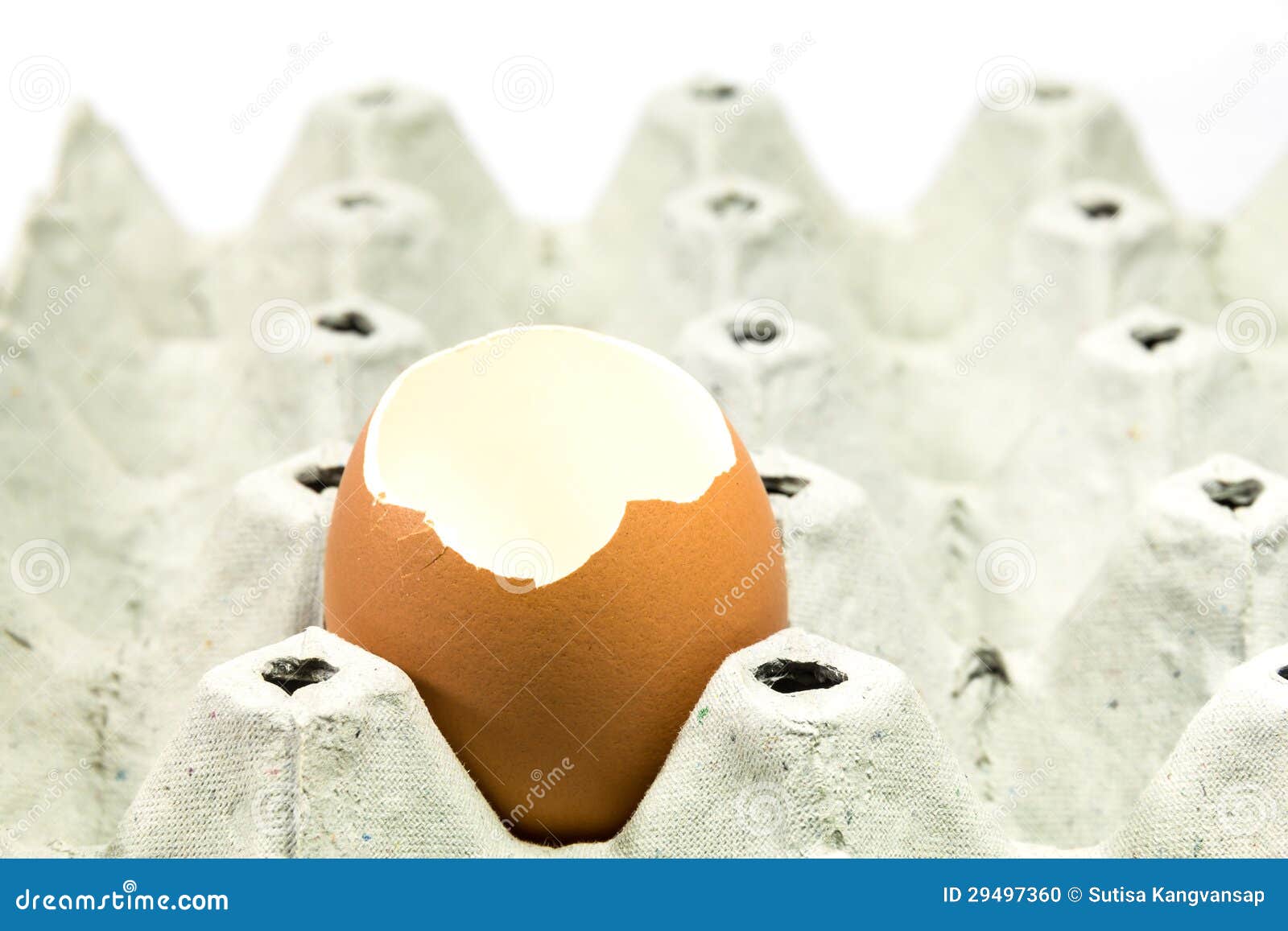 Empty egg on tray stock photo. Image of brown, easter - 29497360