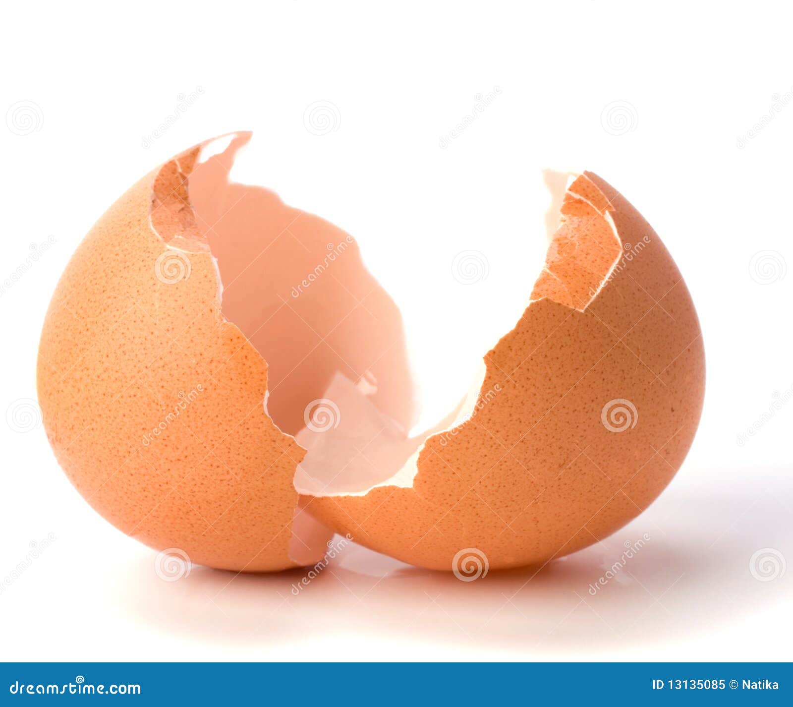 Empty eggshell stock image. Image of diet, farm, easter - 13135085