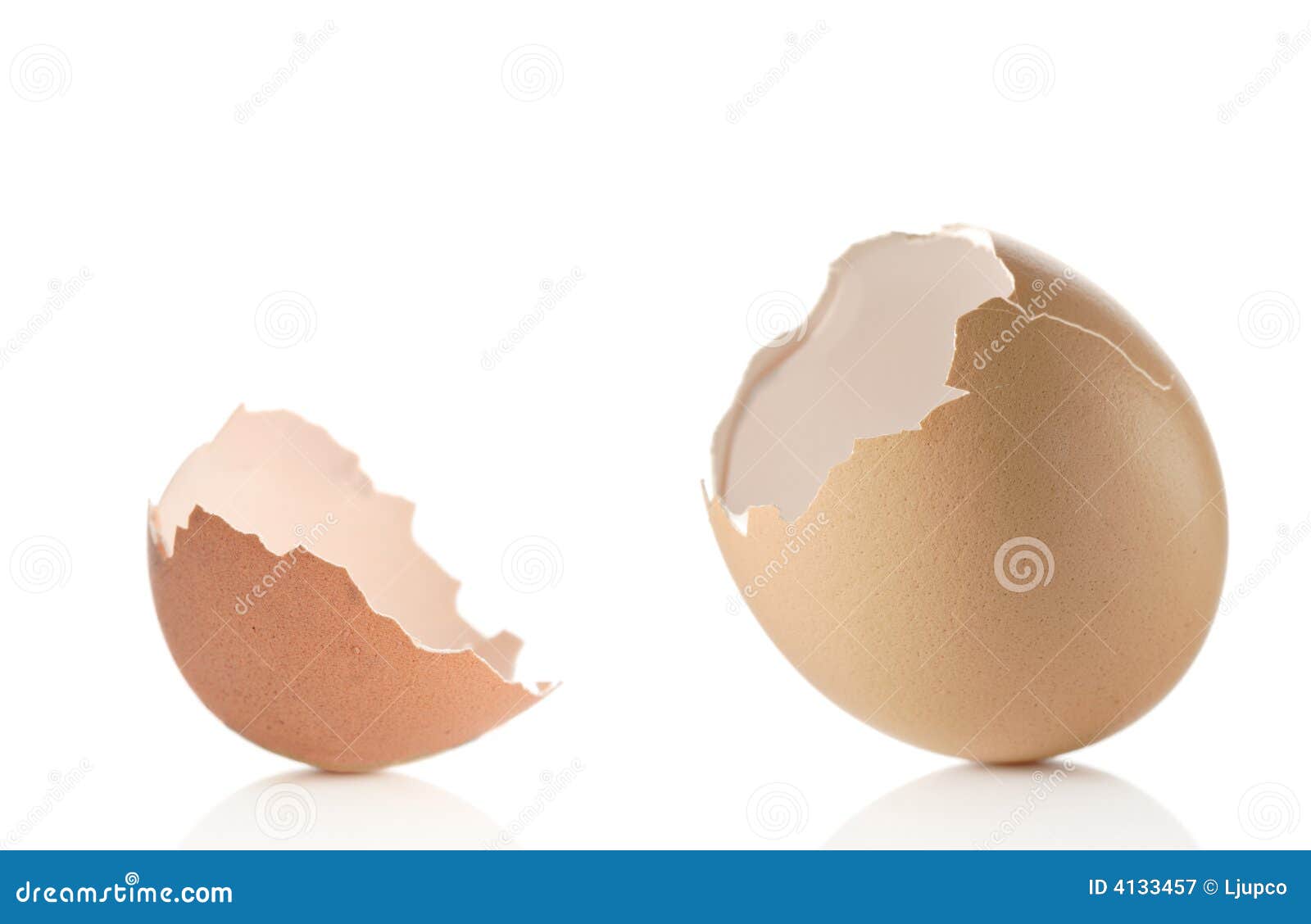 Empty eggshell stock image. Image of crisp, background - 4133457
