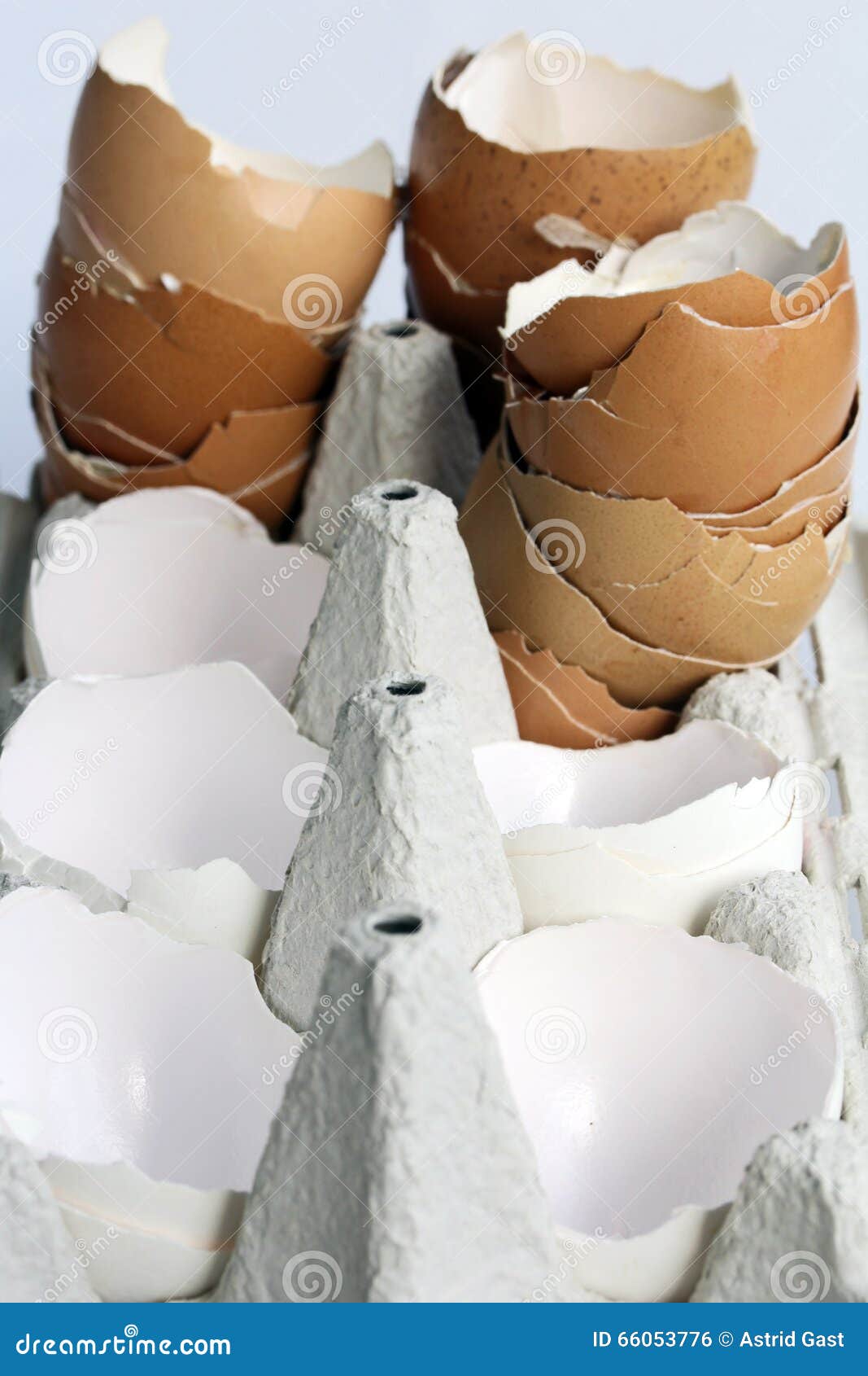 Empty Eggshells in an Egg Carton Stock Photo - Image of holiday, eating ...