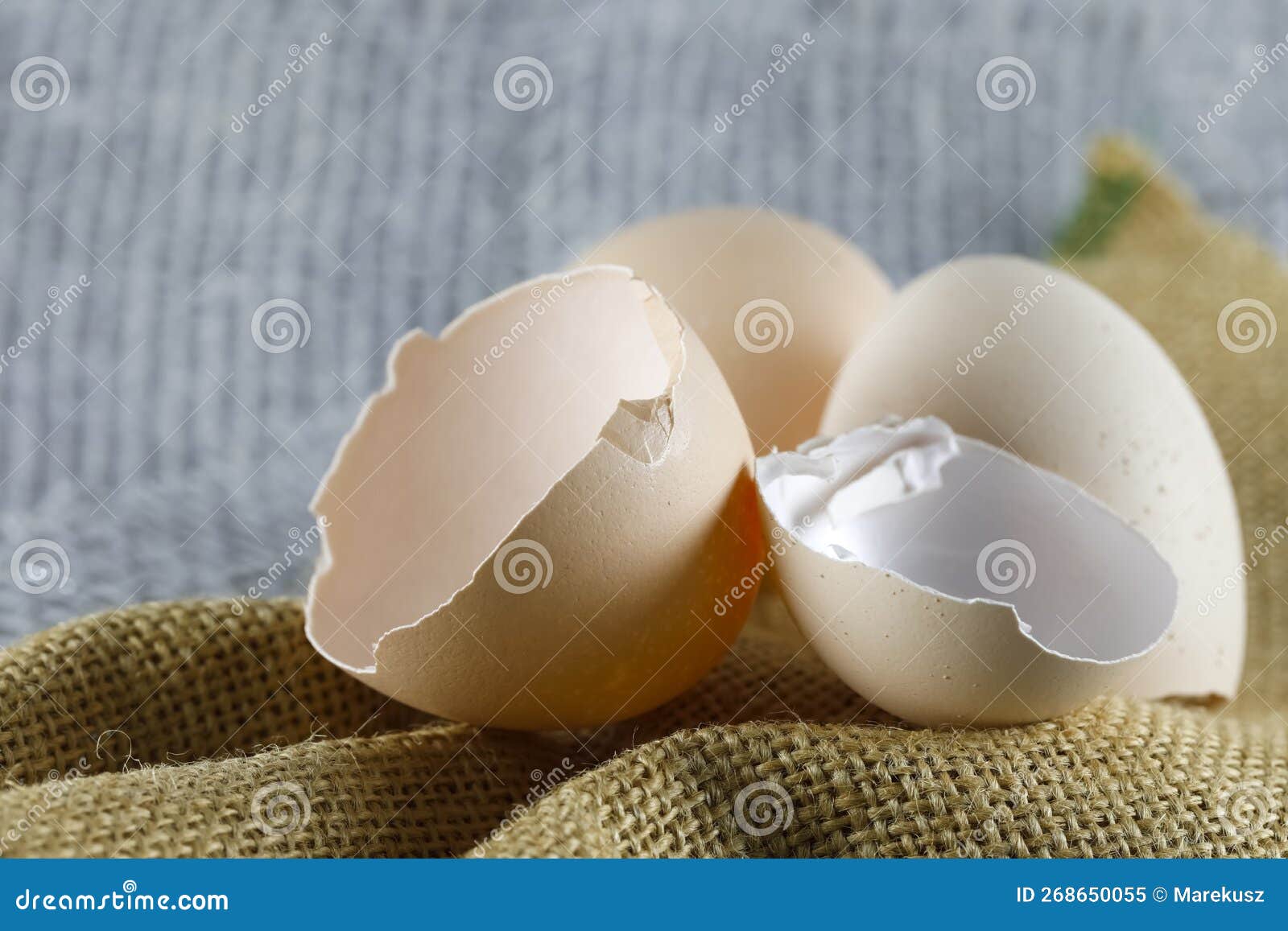 These are empty eggshells stock image. Image of blank - 268650055