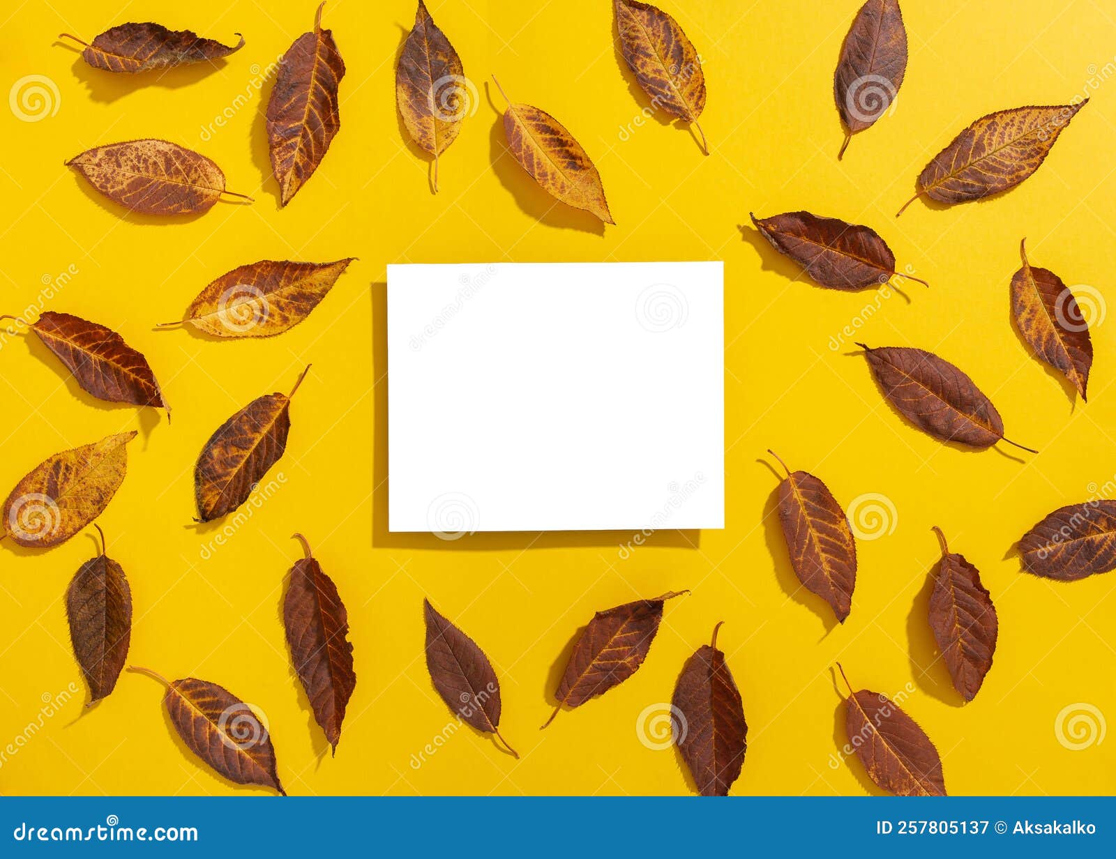 Empty Elevated Rectangular Frame Mock Up and Autumn Leaves on Yellow ...