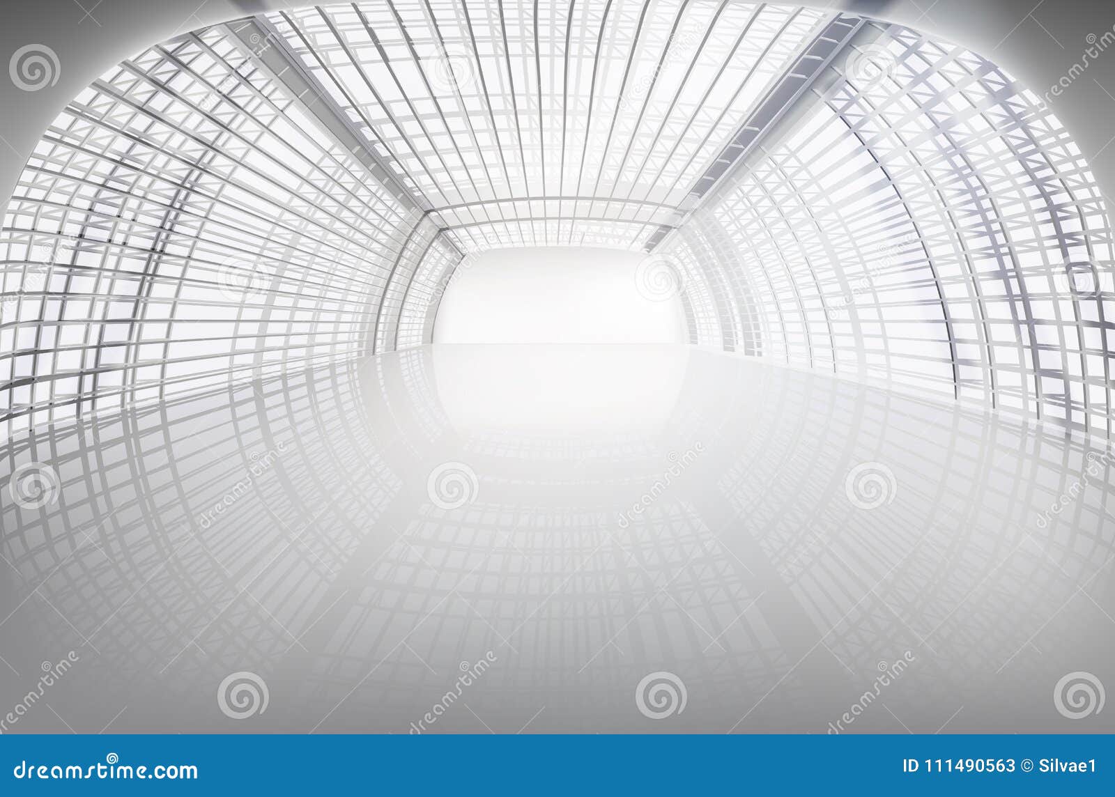 Empty Exhibition Large Hall. Vector Illustration. Stock Vector ...