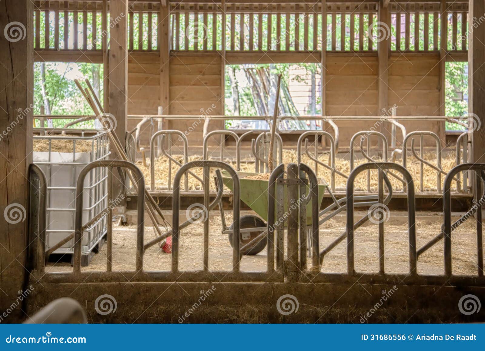 Empty farm barn stock photo. Image of traditional, netherlands - 31686556