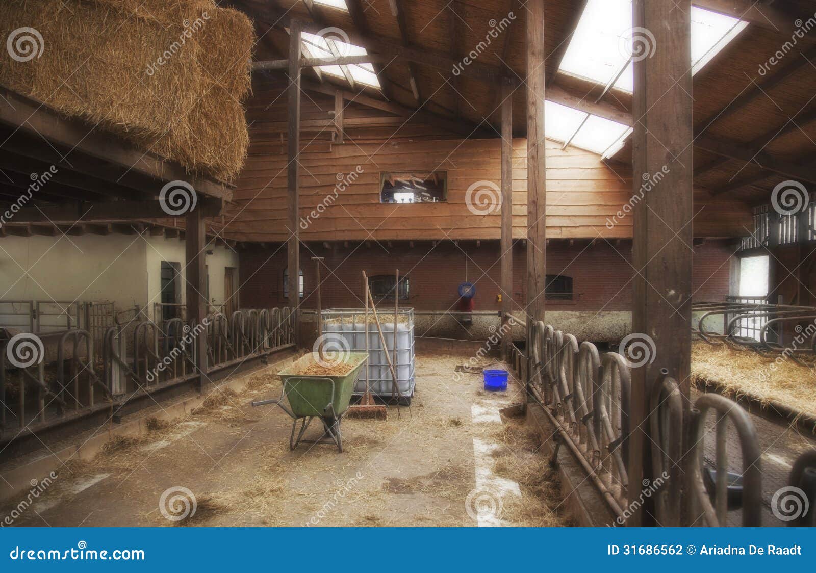 Empty farm barn stock photo. Image of traditional, ranch - 31686562