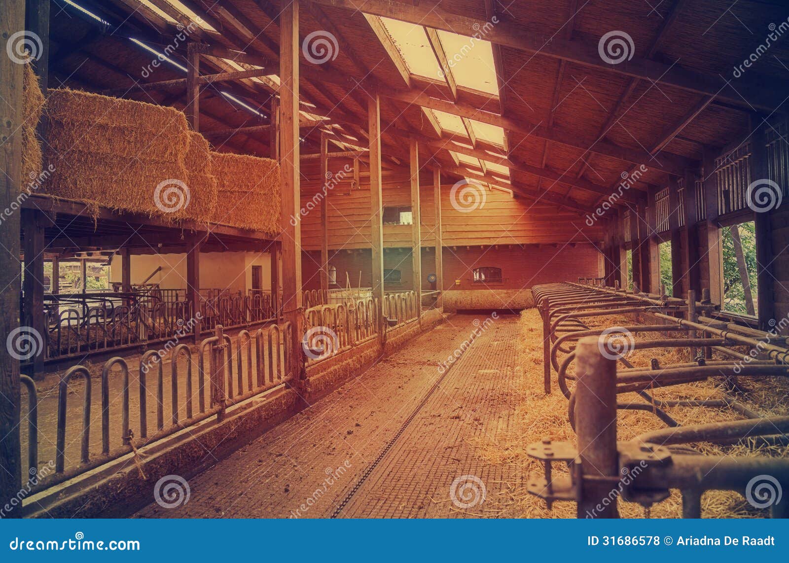Empty farm barn stock photo. Image of cowshed, stall - 31686578