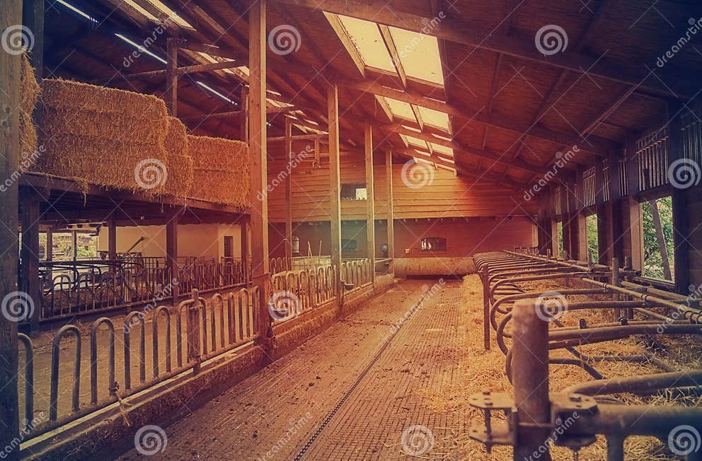 Empty farm barn stock photo. Image of cowshed, stall - 31686578