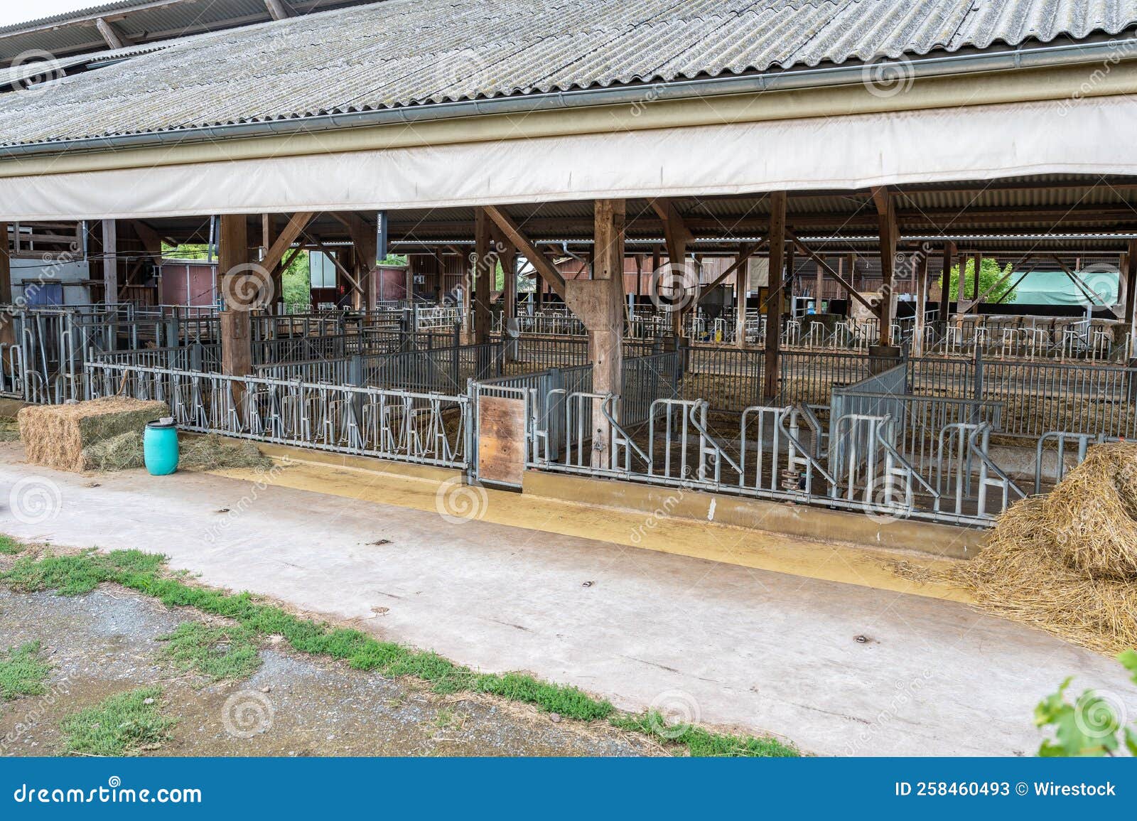Empty Farm with Boxes for Cows Stock Image - Image of animal, field ...