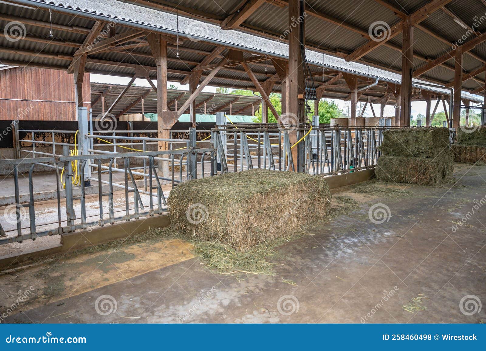 Empty Farm with Boxes for Cows Stock Photo - Image of field, boxes ...