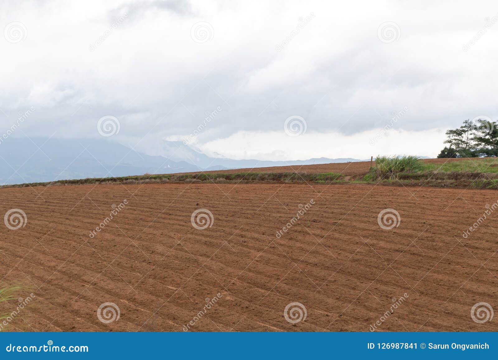 Empty Farm Field Soil Ground Landscape on Mountain. Stock Image - Image ...