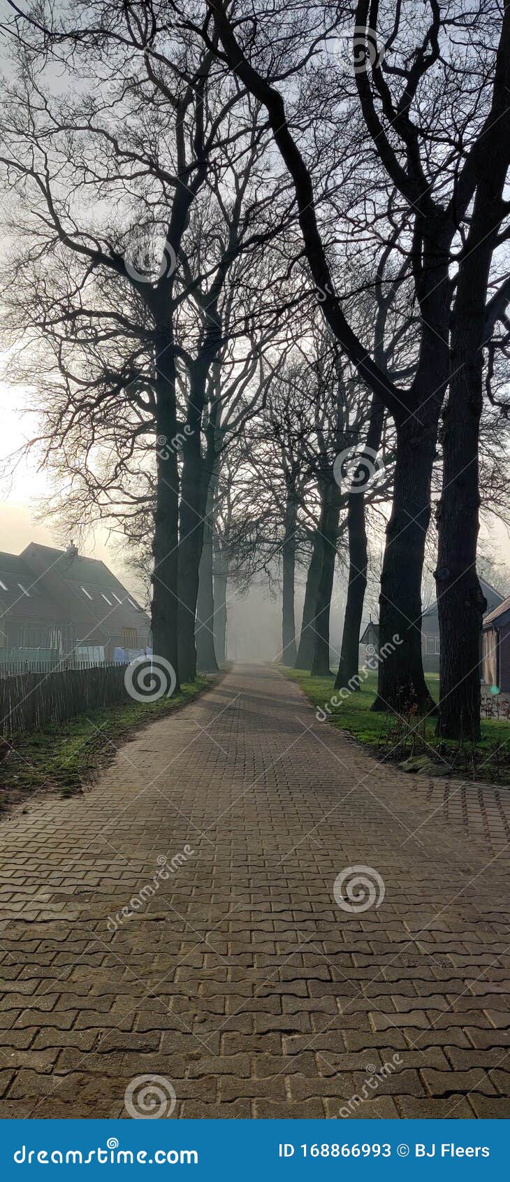 Empty Farm Road in Cold Winter Fog Stock Image - Image of beautiful ...