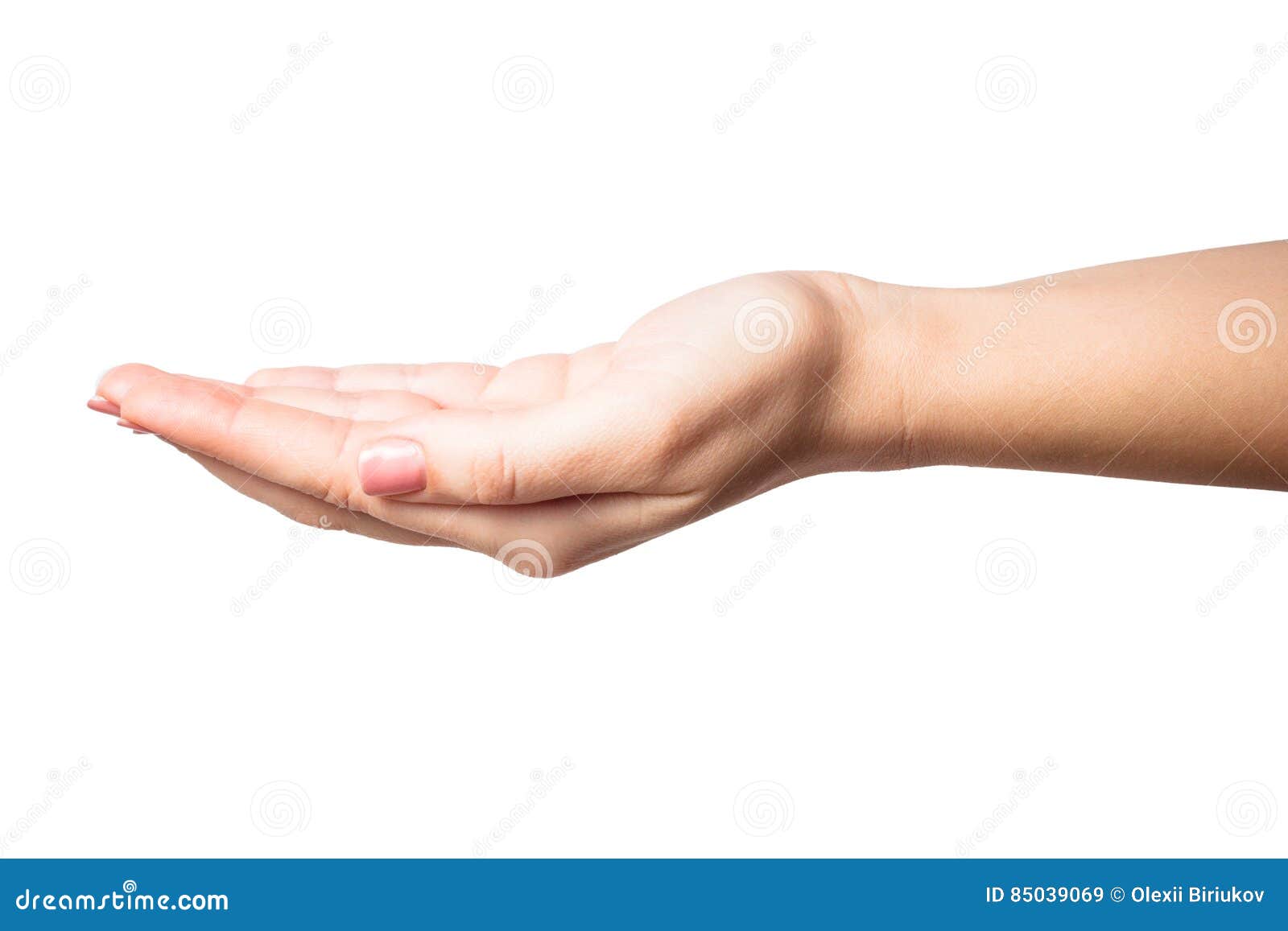 Empty Female Hand Holding, Giving Isolated on White Background Stock ...
