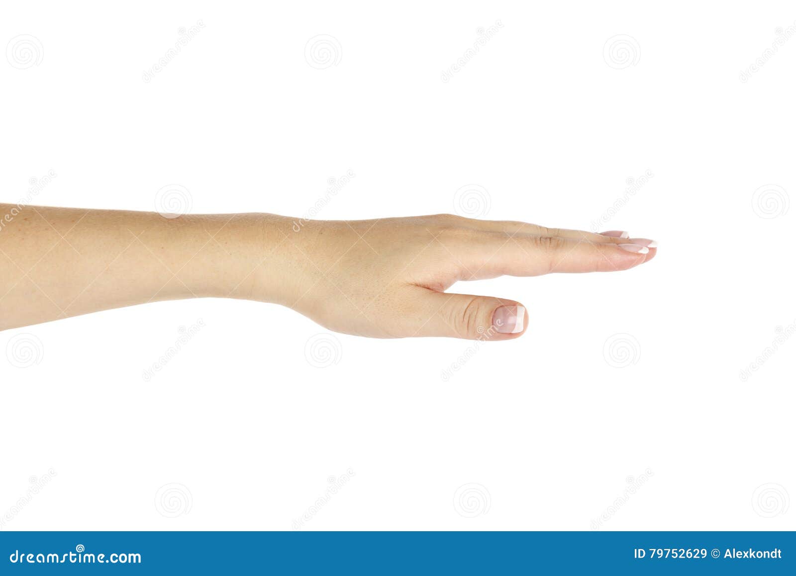 Empty Female Hand on White Background. Stock Image - Image of gesturing ...