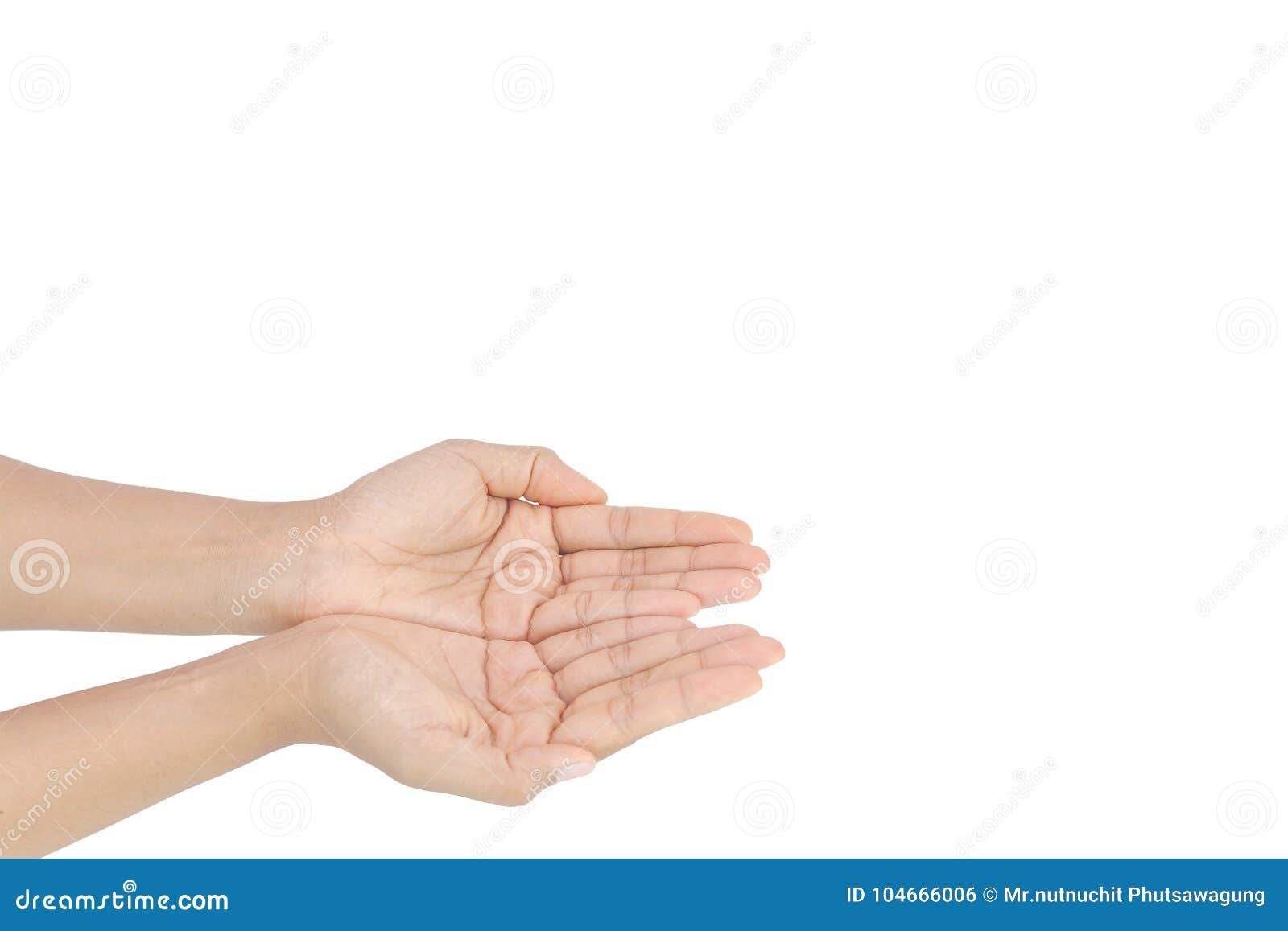 Empty Female Hand on White Background Stock Photo - Image of cupped ...