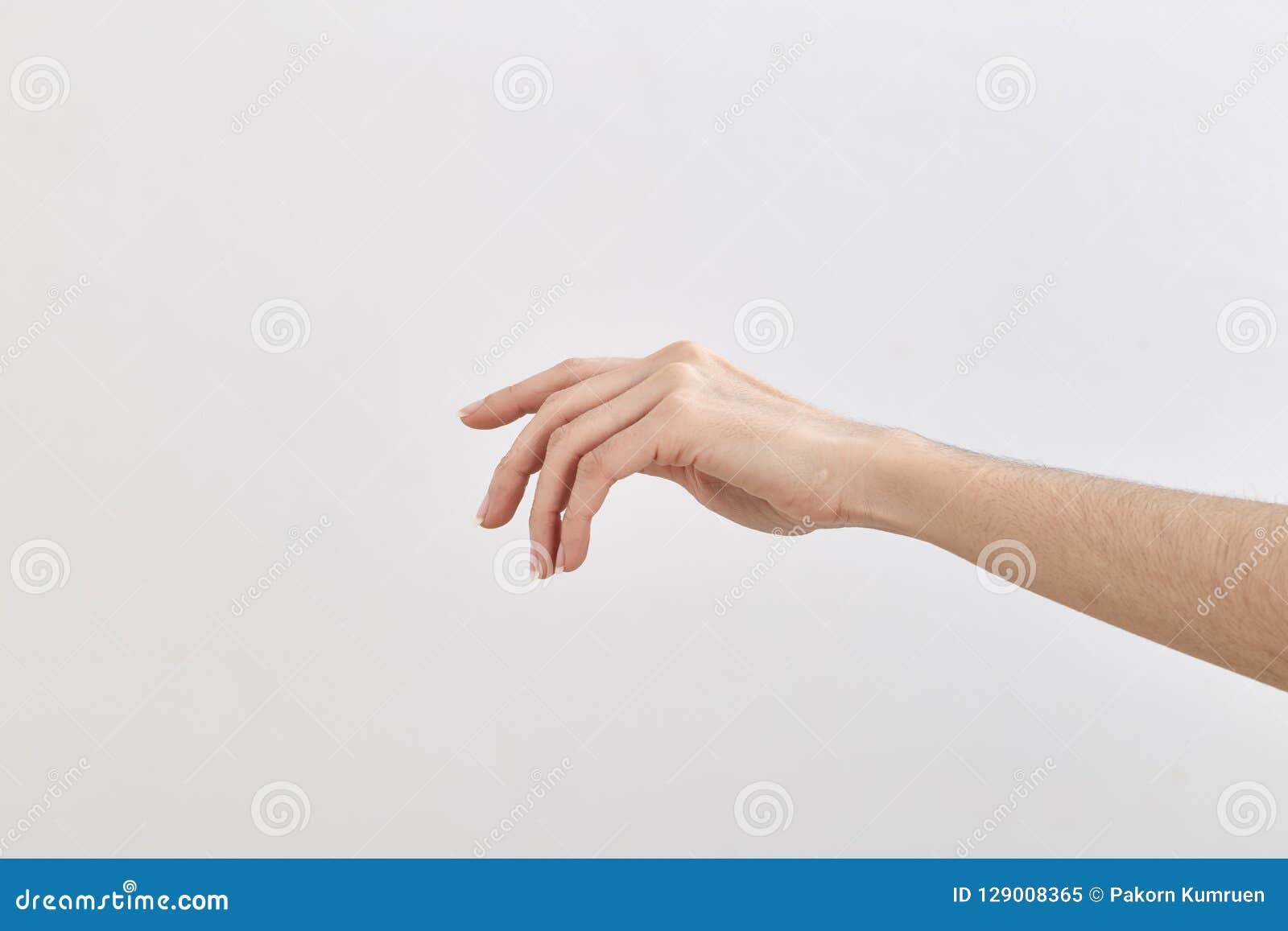 Empty female hand on white stock image. Image of human - 129008365